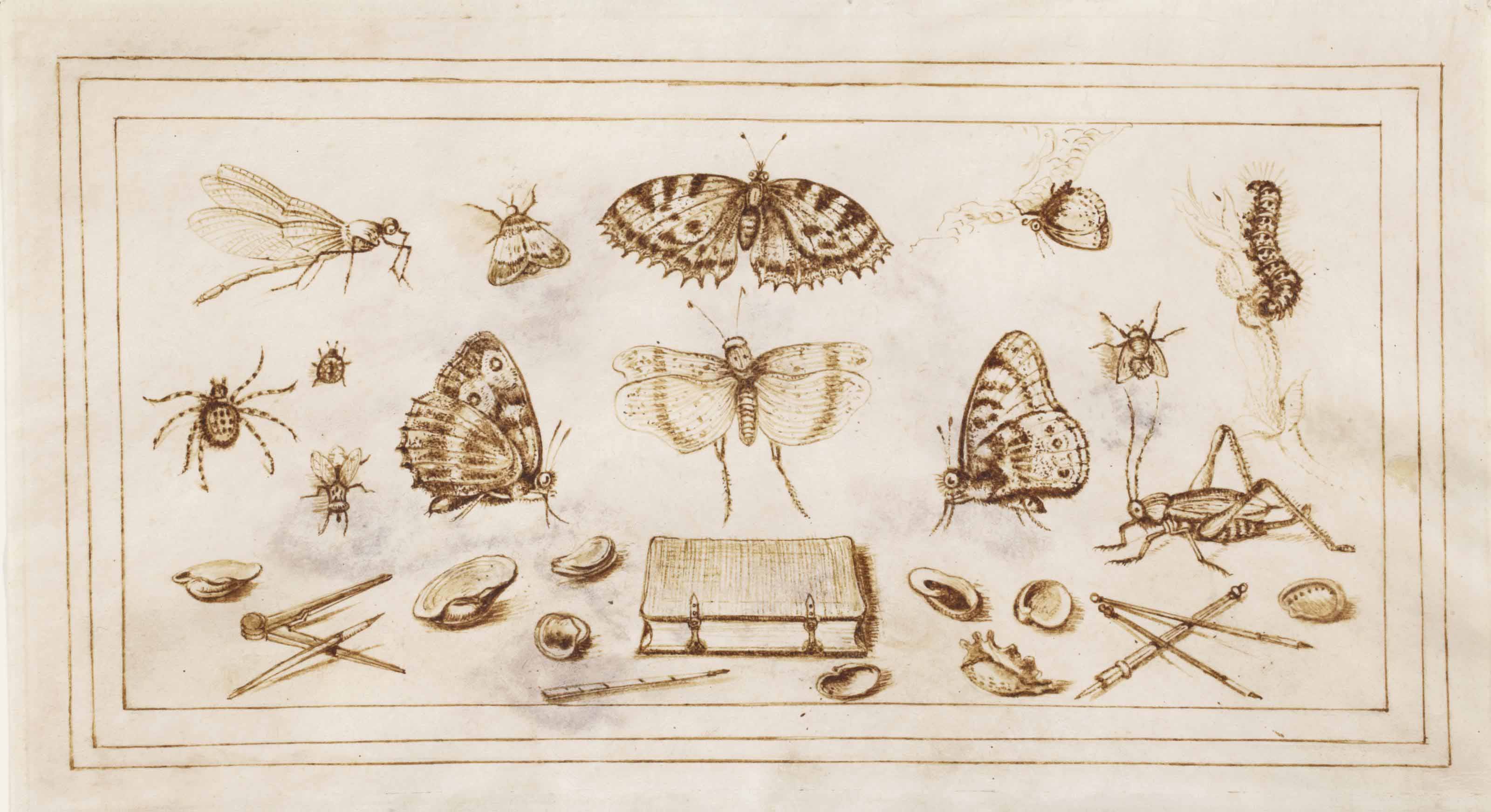 Circle of Jacob Hoefnagel (Antwerp 1573-1632)