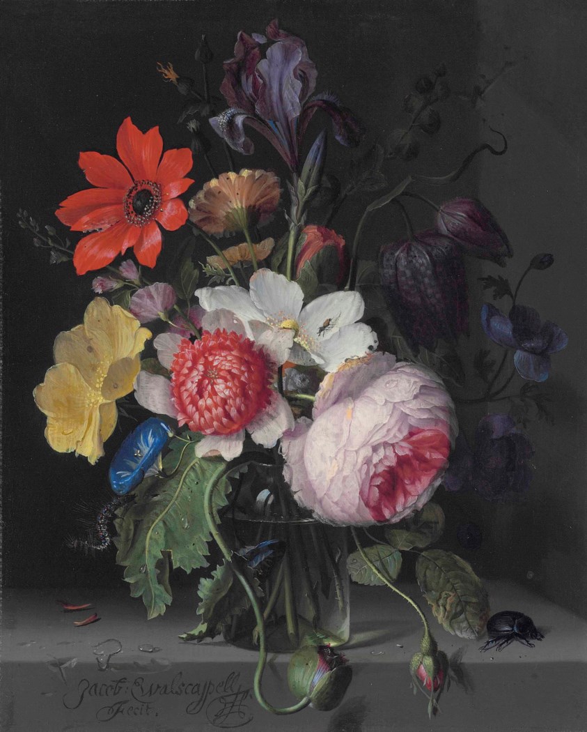 Jacob van Walscapelle (Dordrecht 1644-1727 Amsterdam) , A peony, an ...