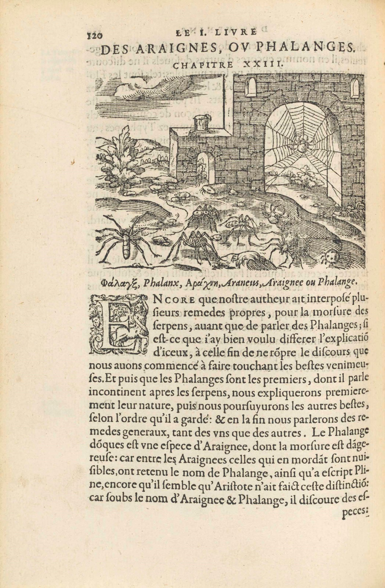 NICANDER (fl. 2nd century BC). Les oeuvres de Nicandre, me´decin et poe ...