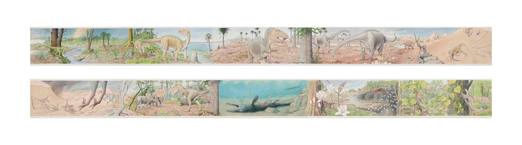 Peter Barrett (b.1935), One Hundred Illustrations from Evolution: The ...