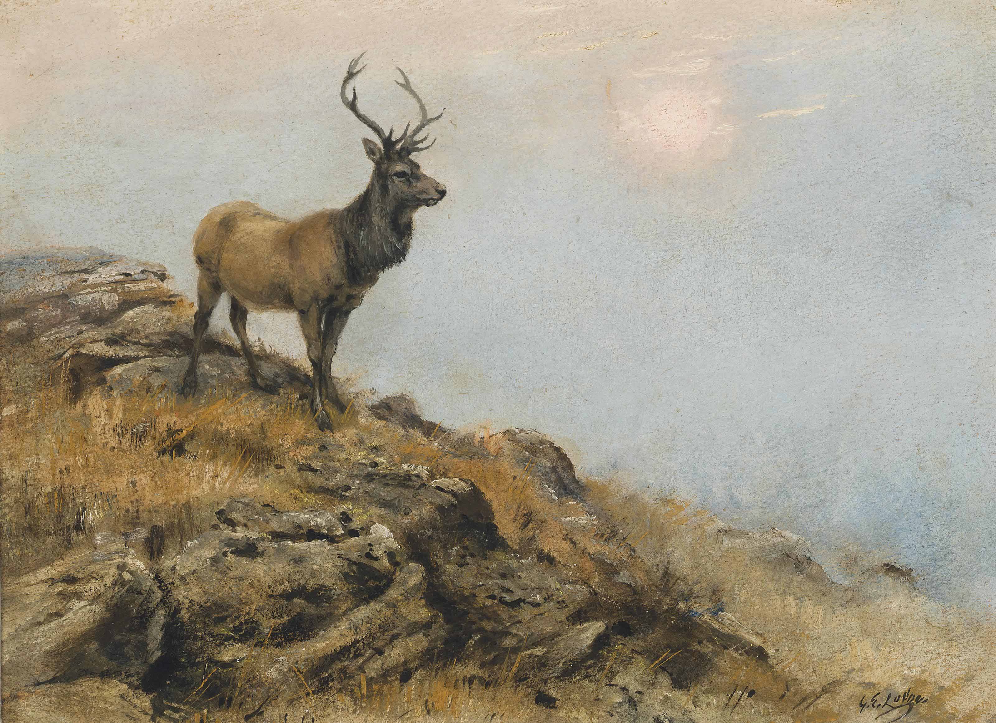 George Edward Lodge (1860-1954) , Stag, early morning | Christie's