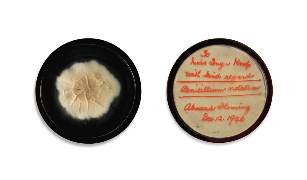 A PRESENTATION PENICILLIN SAMPLE, PROBABLY FROM THE ORIGINAL CULTURE ...