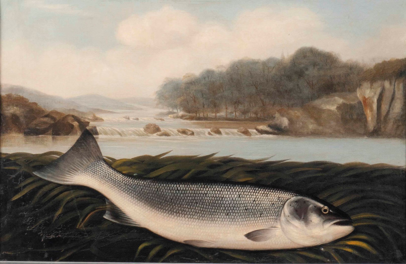 Henry Jervis Alfred, 19th Century, Study of a fish on a river near a ...