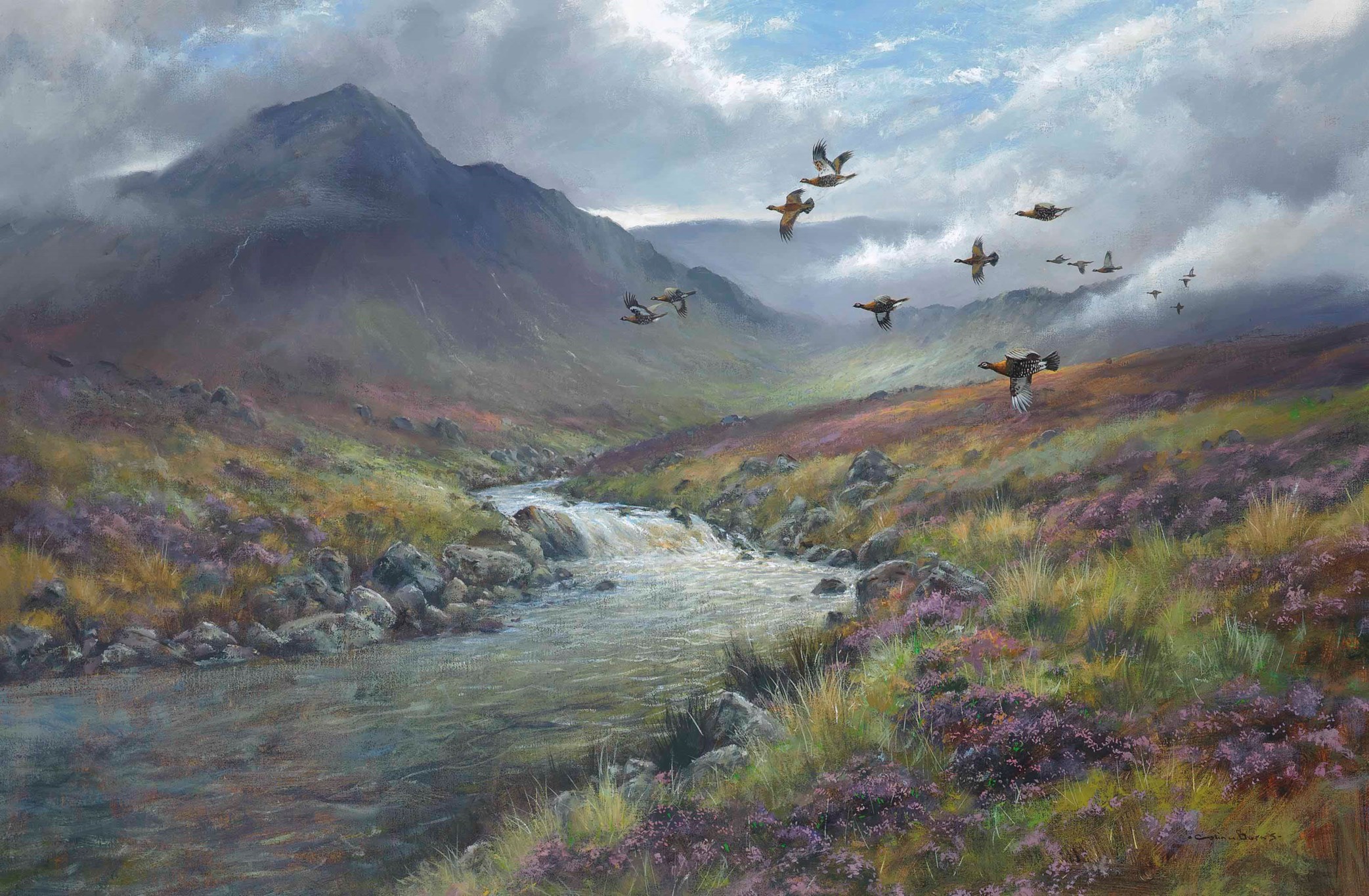 Colin W. Burns (b. 1944), Red grouse, Glen Etive | Christie's