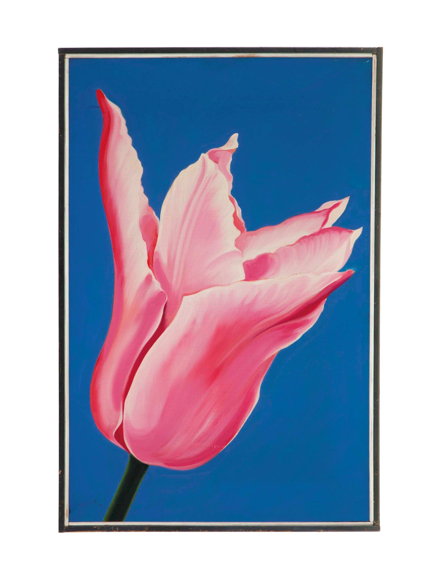 Lowell Nesbitt (American, 1933-1993) , Pink Tulip; and a companion ...