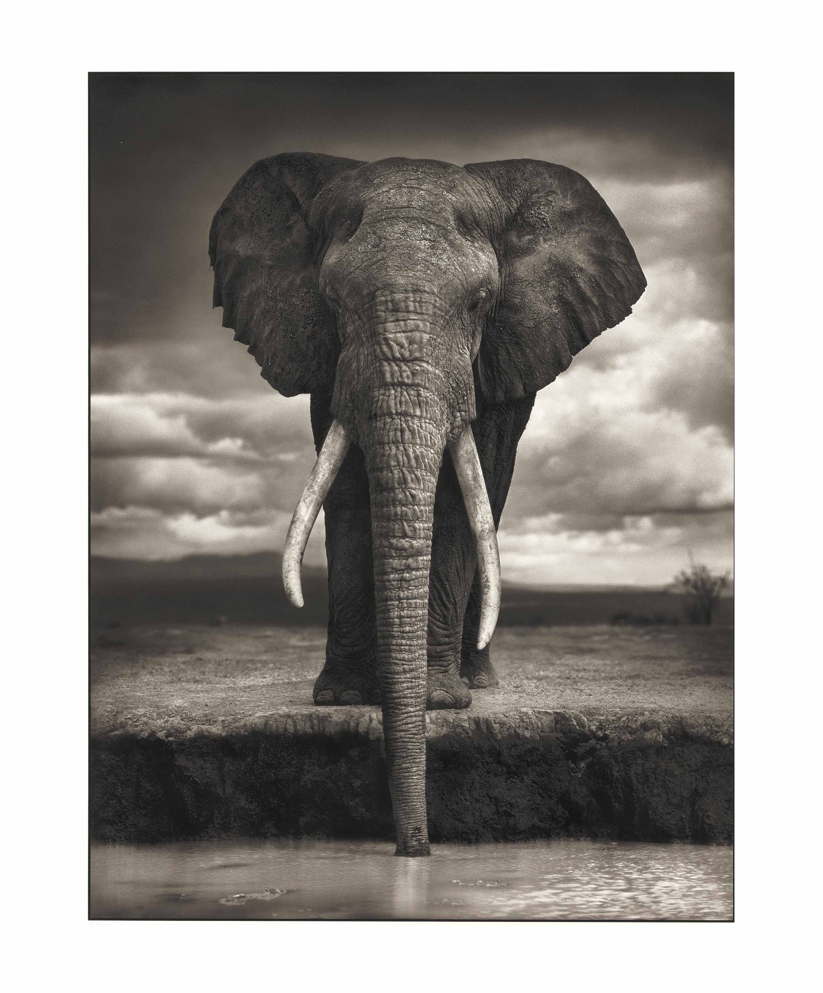 NICK BRANDT (B. 1966)