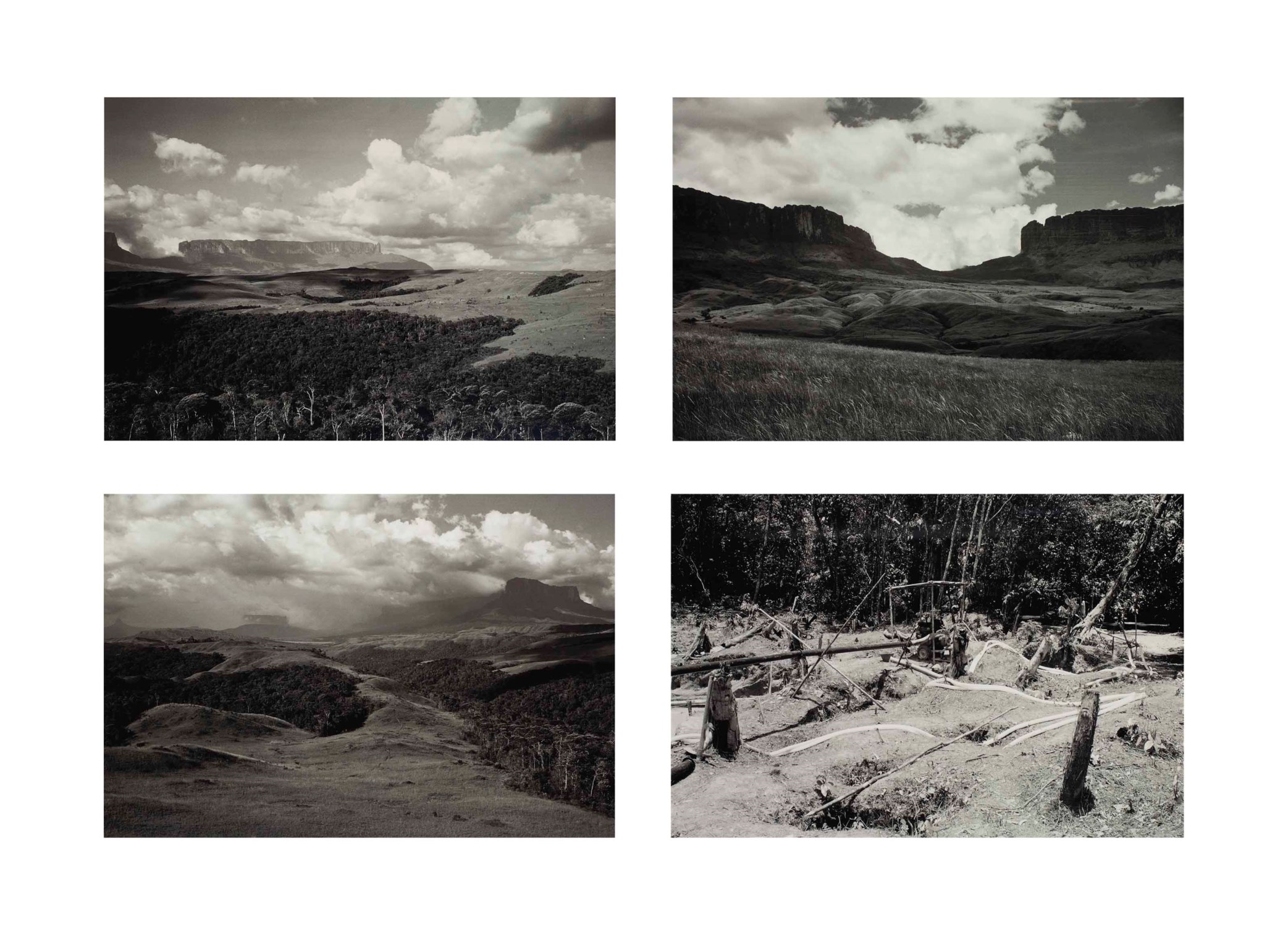 Lothar Baumgarten (b. 1944) , El Dorado - Le Gran Sabana | Christie's