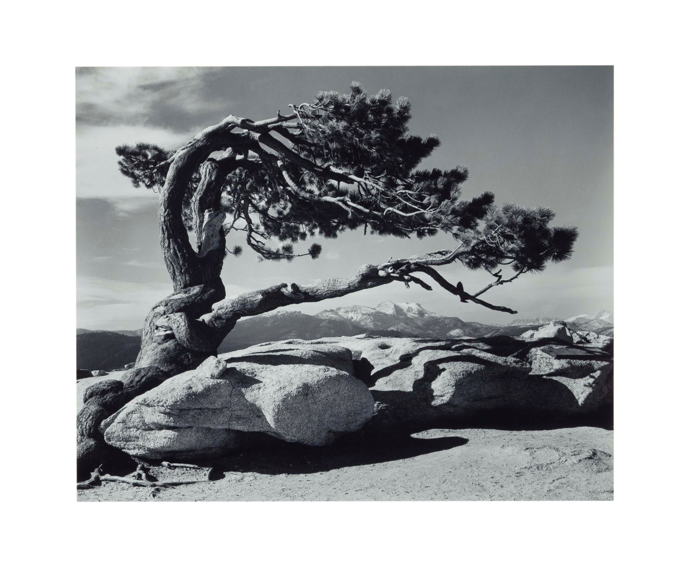 ANSEL ADAMS (1902-1984), Special Edition of Fine Prints: Photographs of ...