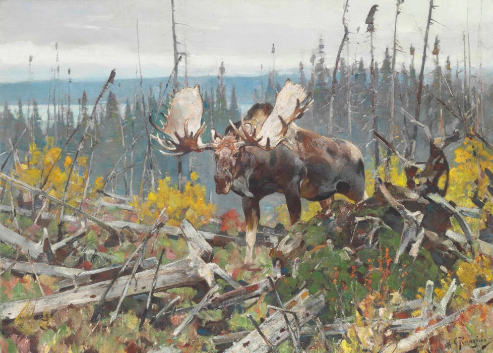 Carl Rungius (1869-1959), Moosy | Christie's