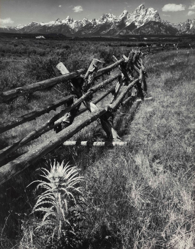 ANSEL ADAMS (1902-1984) , Rail Fence, Jackson Hole, Wyoming, 1950s ...