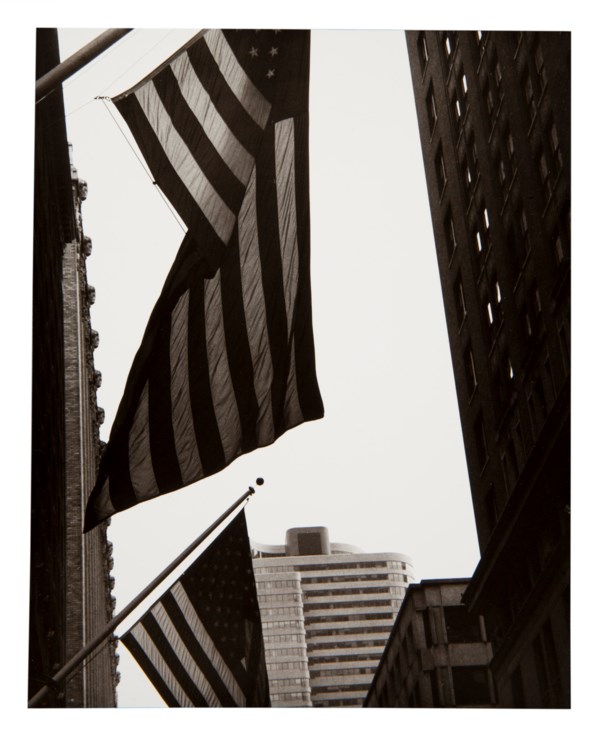 andy warhol flags 1