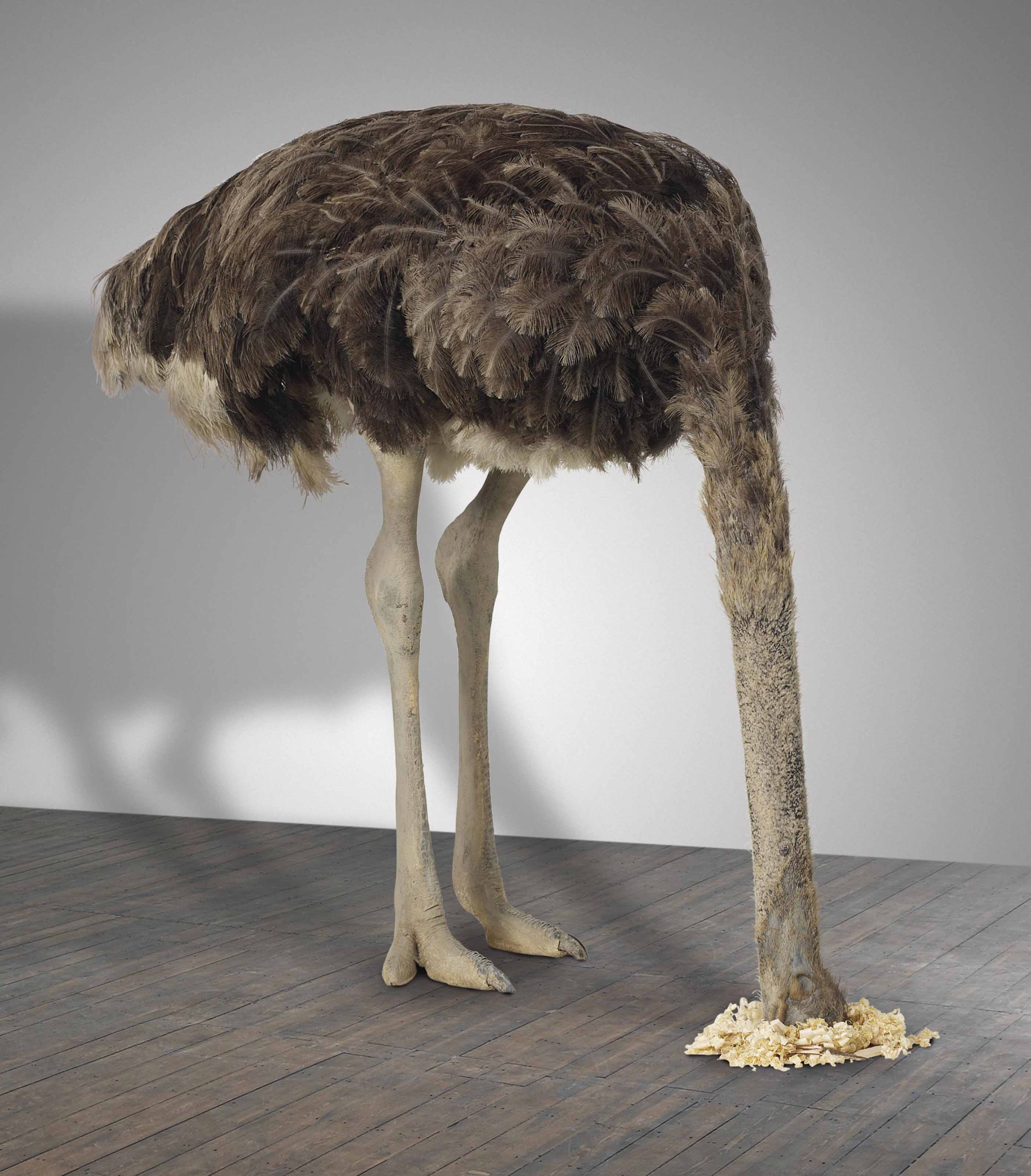 Maurizio Cattelan (b. 1960) , Ostrich | Christie's