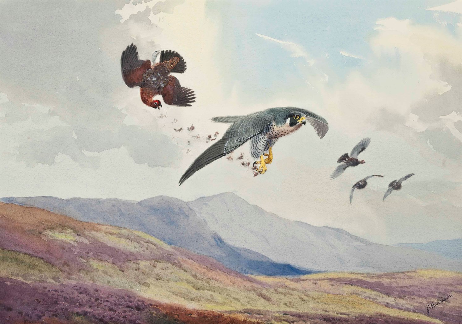 John Cyril Harrison (1898-1985), A peregrine falcon striking a grouse ...