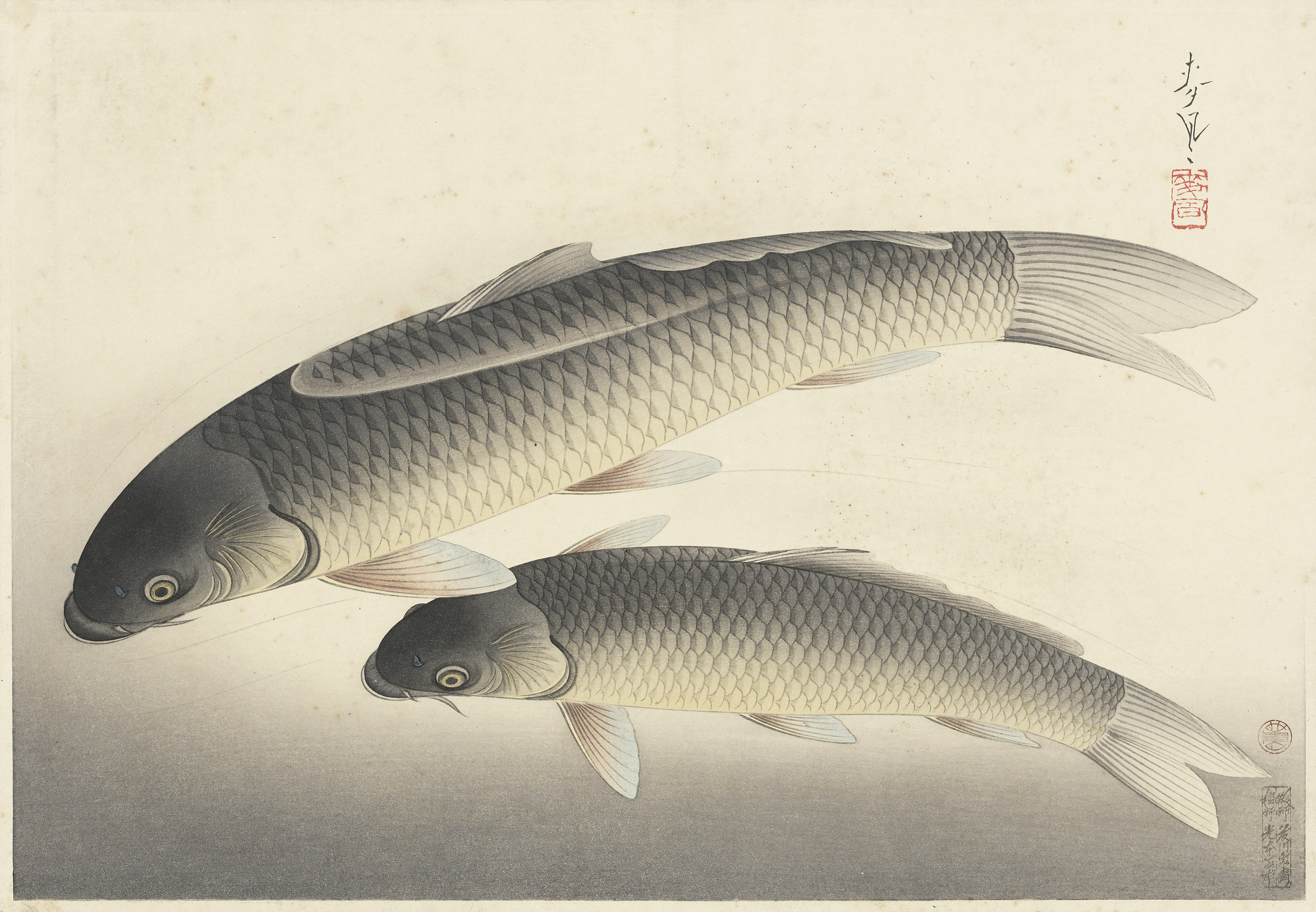 Ono Bakufu (1888-1976), COMPLETE SET OF THE GREAT JAPANESE FISH PICTURE ...