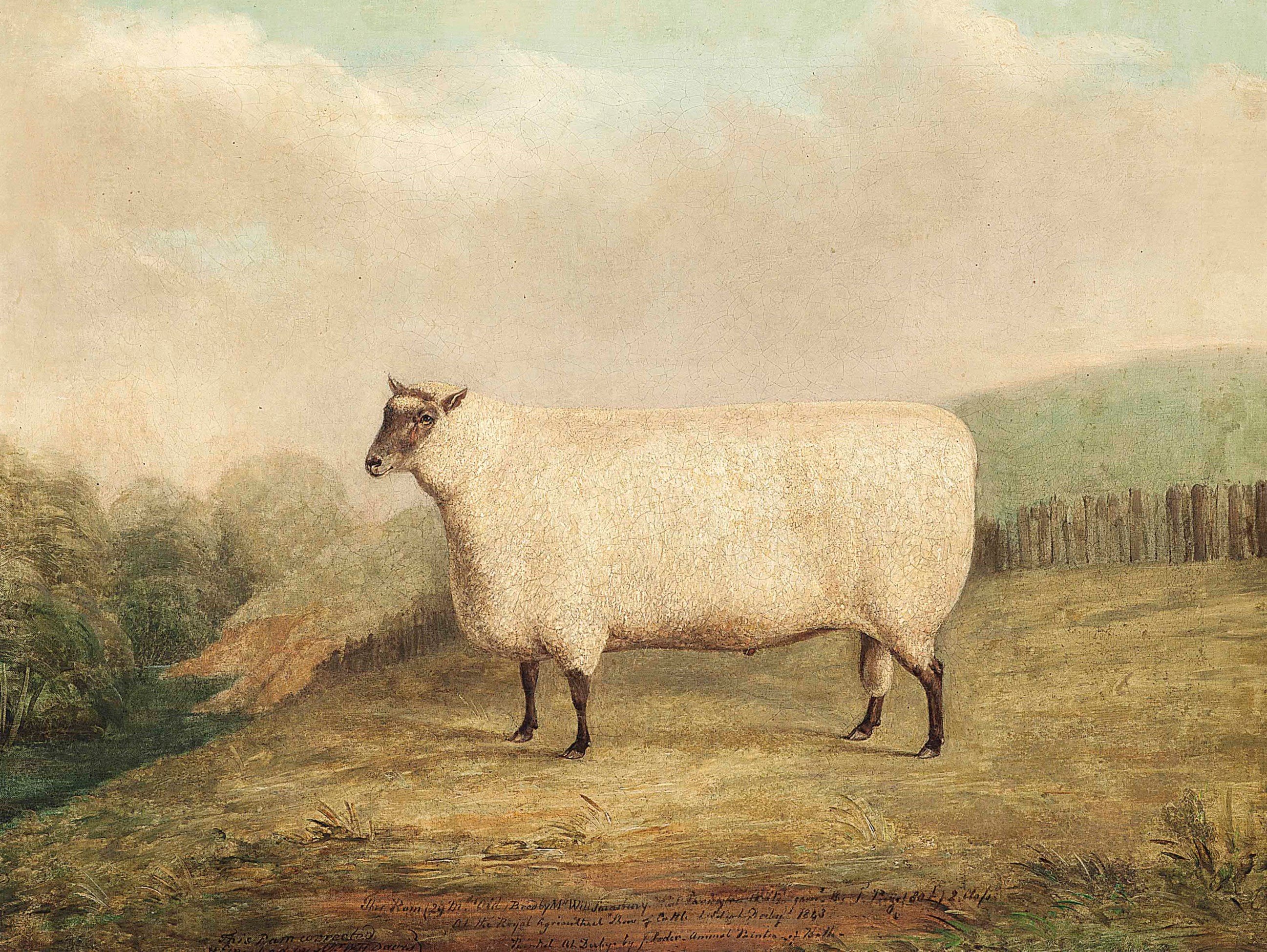 James Loder Of Bath (1784-1860), A prize ram bred by Mr. William ...