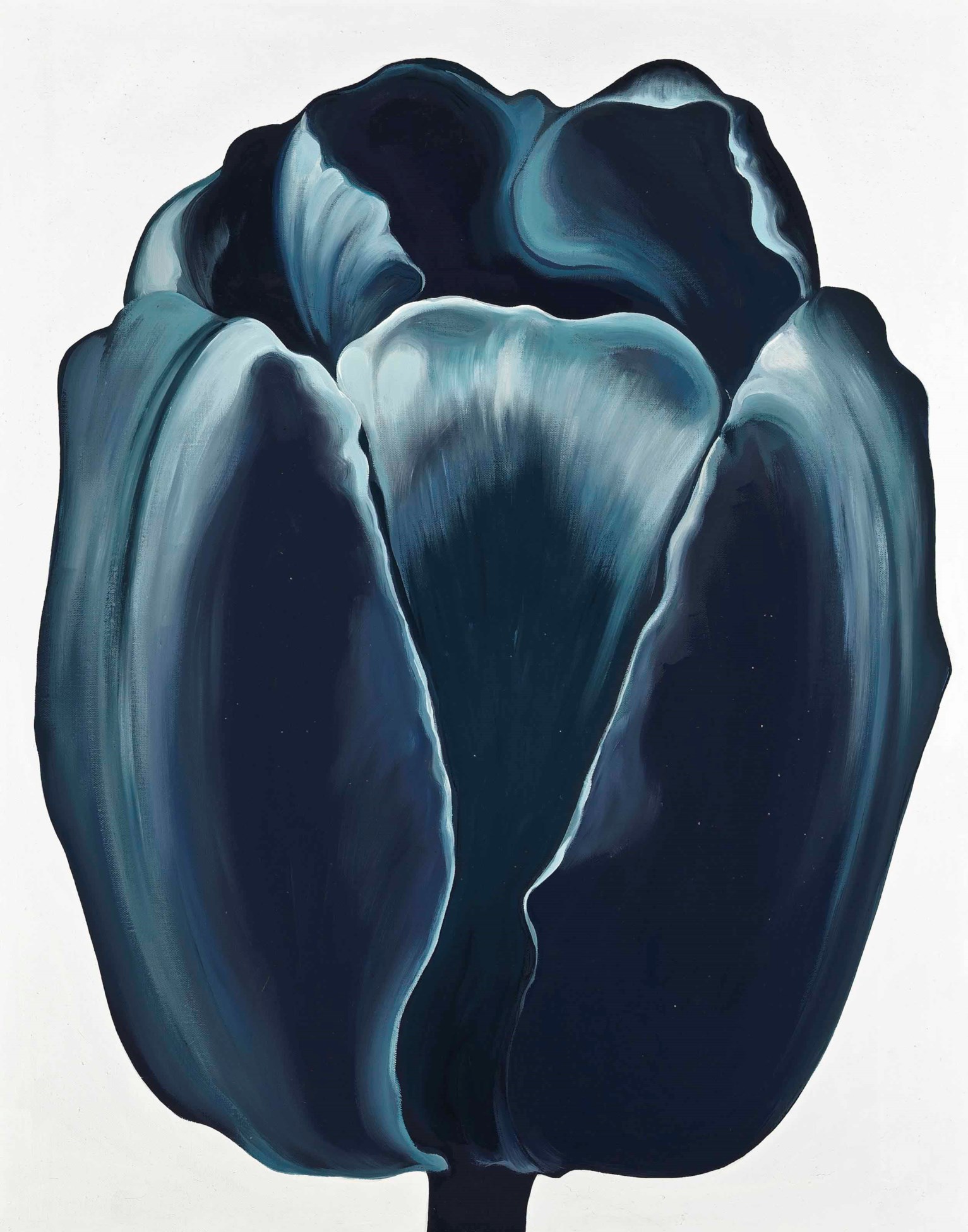 Lowell Nesbitt (American, 1933 - 1993), Black Tulip | Christie's