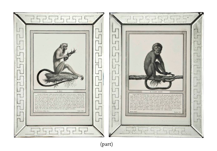 TWELVE ITALIAN ENGRAVINGS OF MONKEYS, AFTER NICOLAS HENRI JACOB, MILAN ...