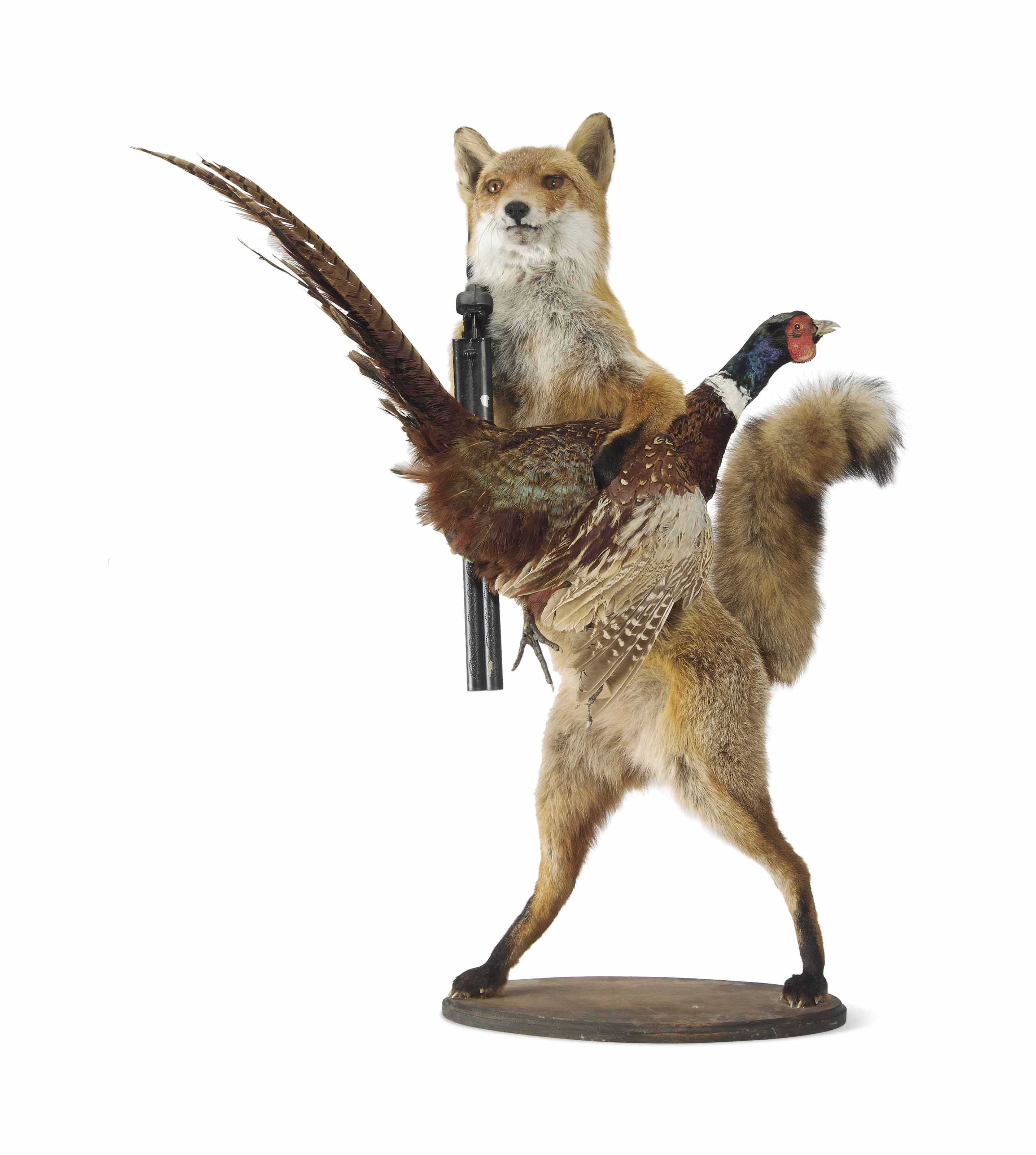 fox and pheasant
