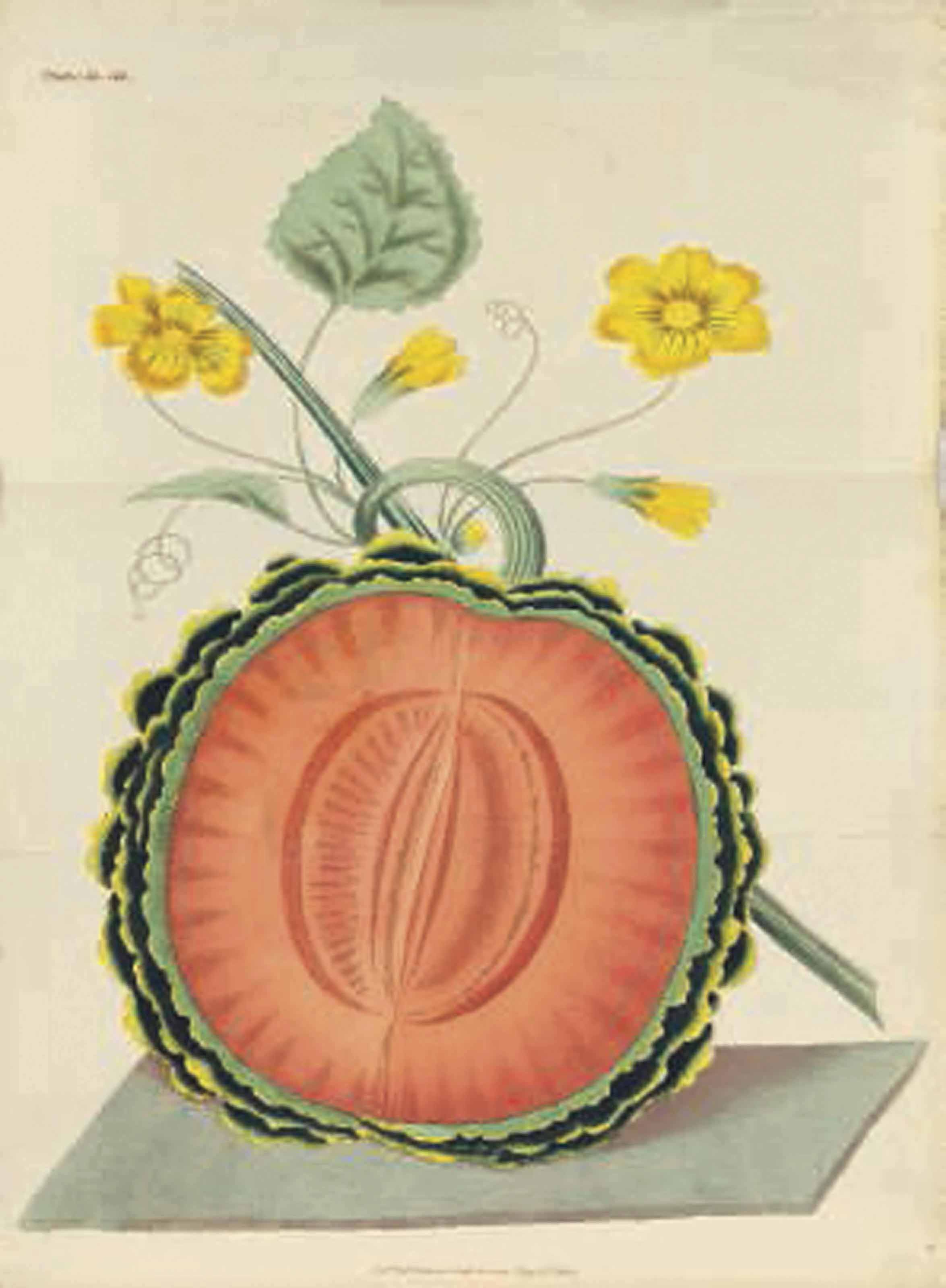 GEORGE BROOKSHAW (1751-1823)