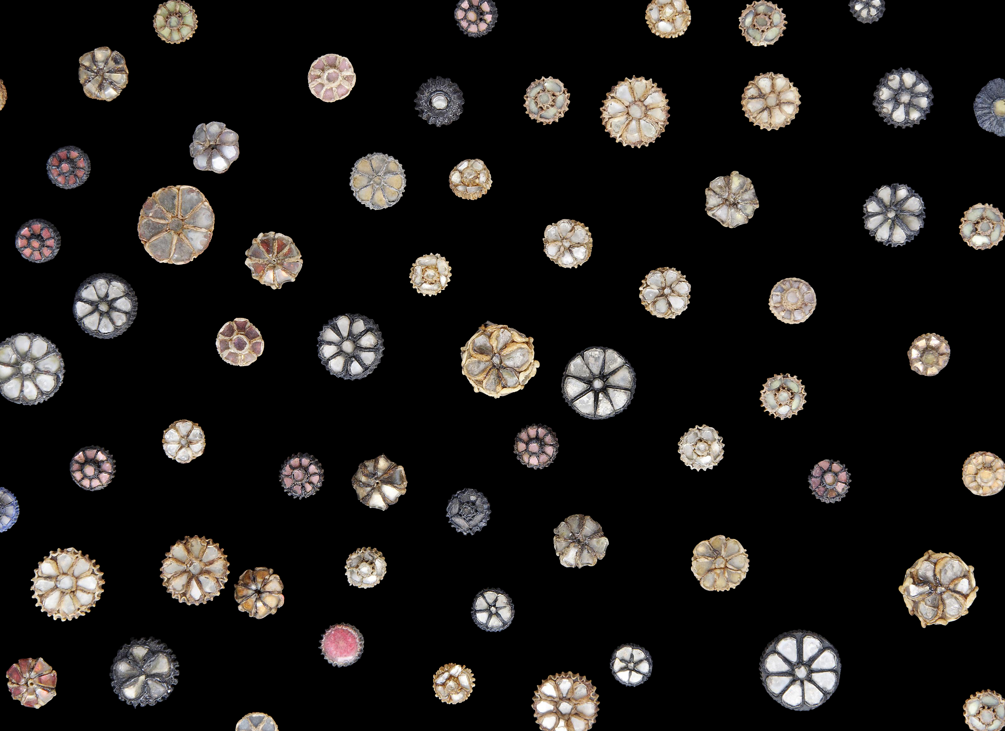 A GROUP OF SIXTY-ONE BUTTONS, CIRCA 1943, LINE VAUTRIN (1913-1997 ...