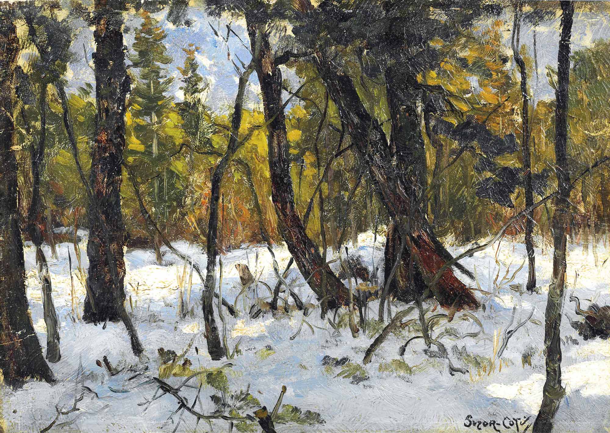 Marc Aurèle de Foy Suzor-Côté (1869-1937) , Woodland in winter | Christie's