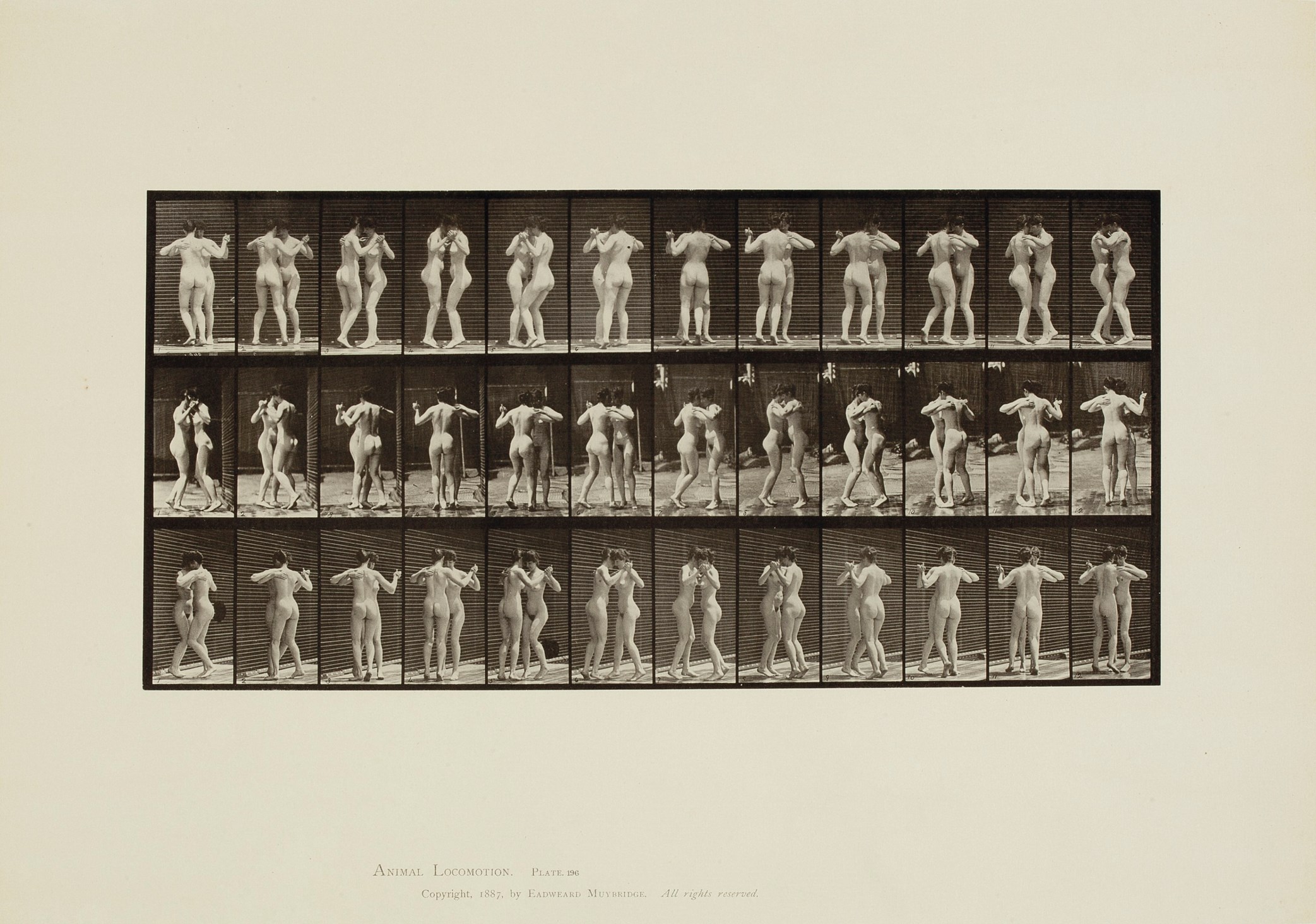 EADWEARD MUYBRIDGE (1830-1904), Animal Locomotion, 1887 | Christie's