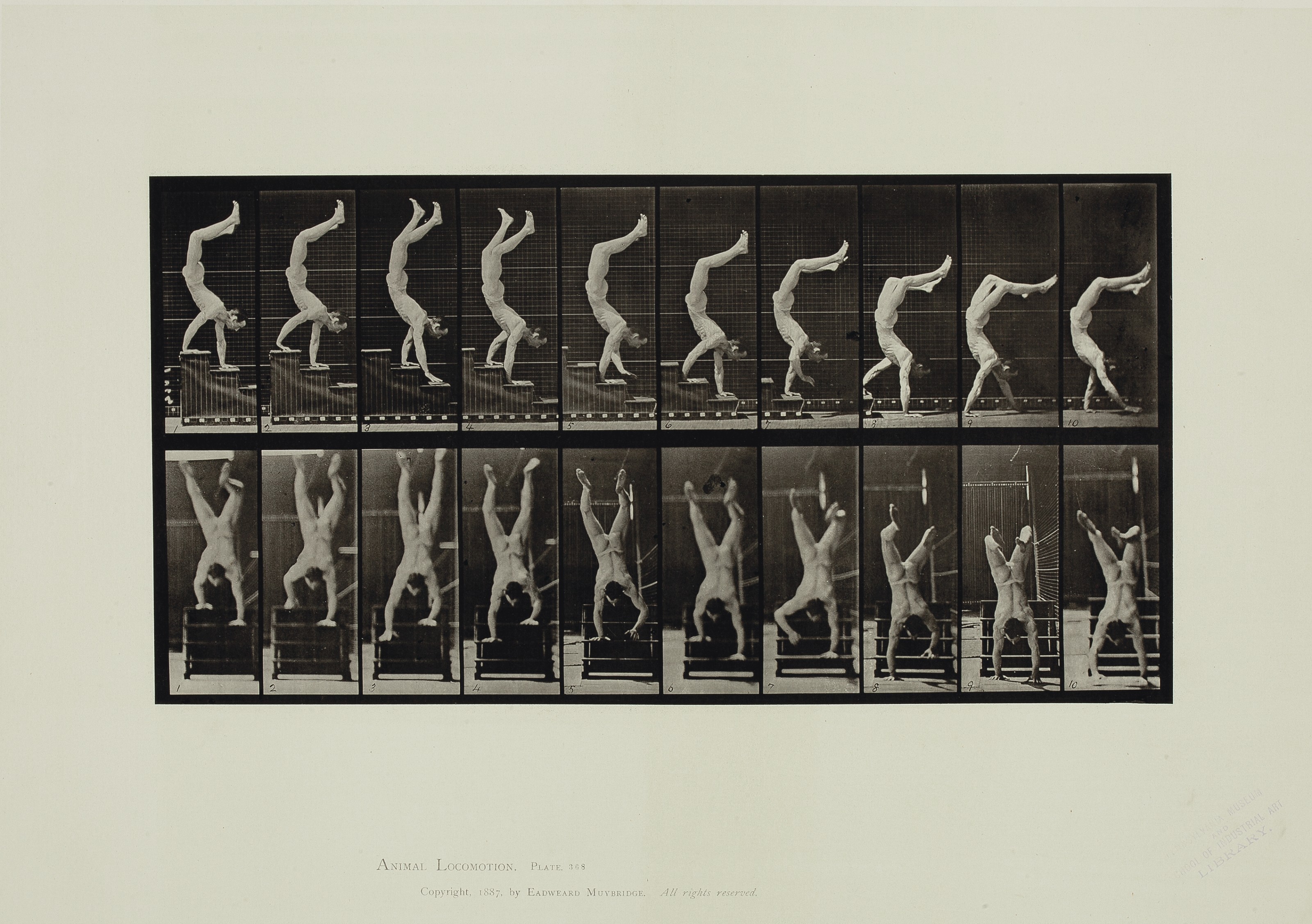 EADWEARD MUYBRIDGE (1830-1904)