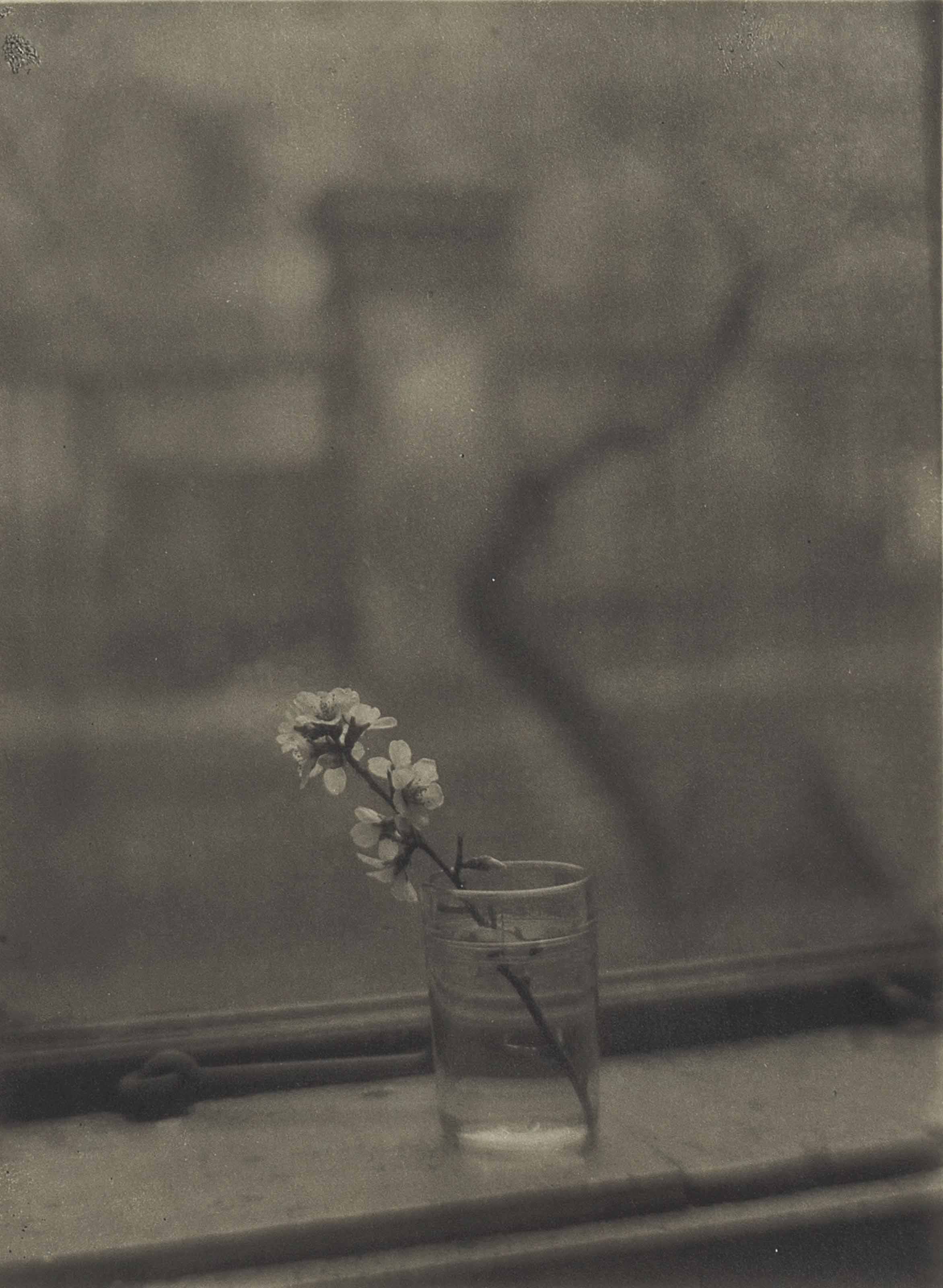 Josef Sudek (1896-1976) , Bouquet, 1950 | Christie's