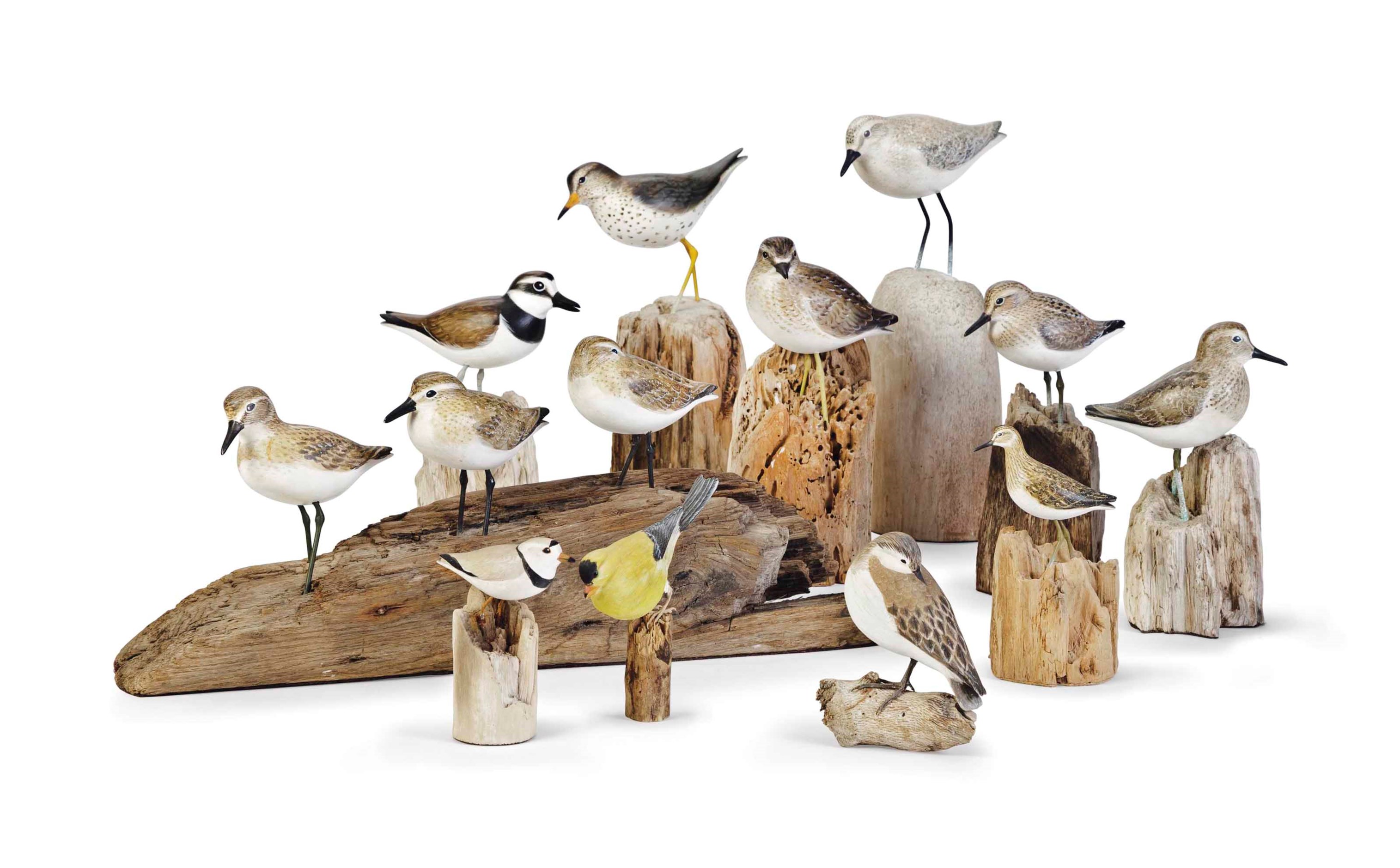 A GROUP OF ELEVEN MODELS OF BIRDS, LATE 20TH CENTURY, NINE BY MARY ...