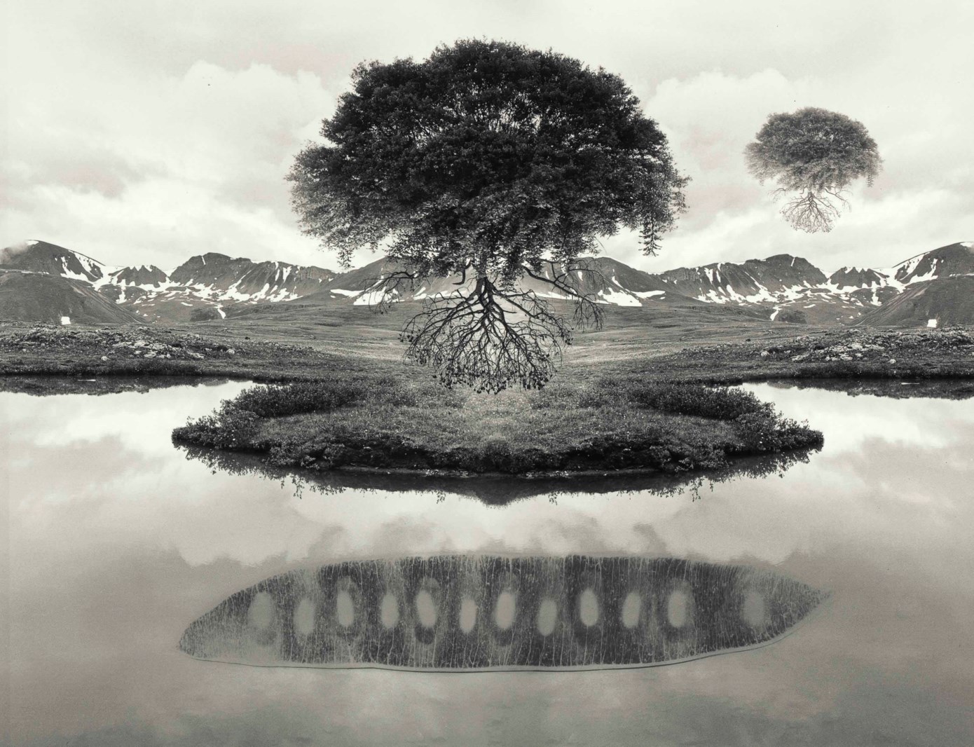 Jerry Uelsmann (b. 1934), Untitled, (Floating Trees), 1969 | Christie's