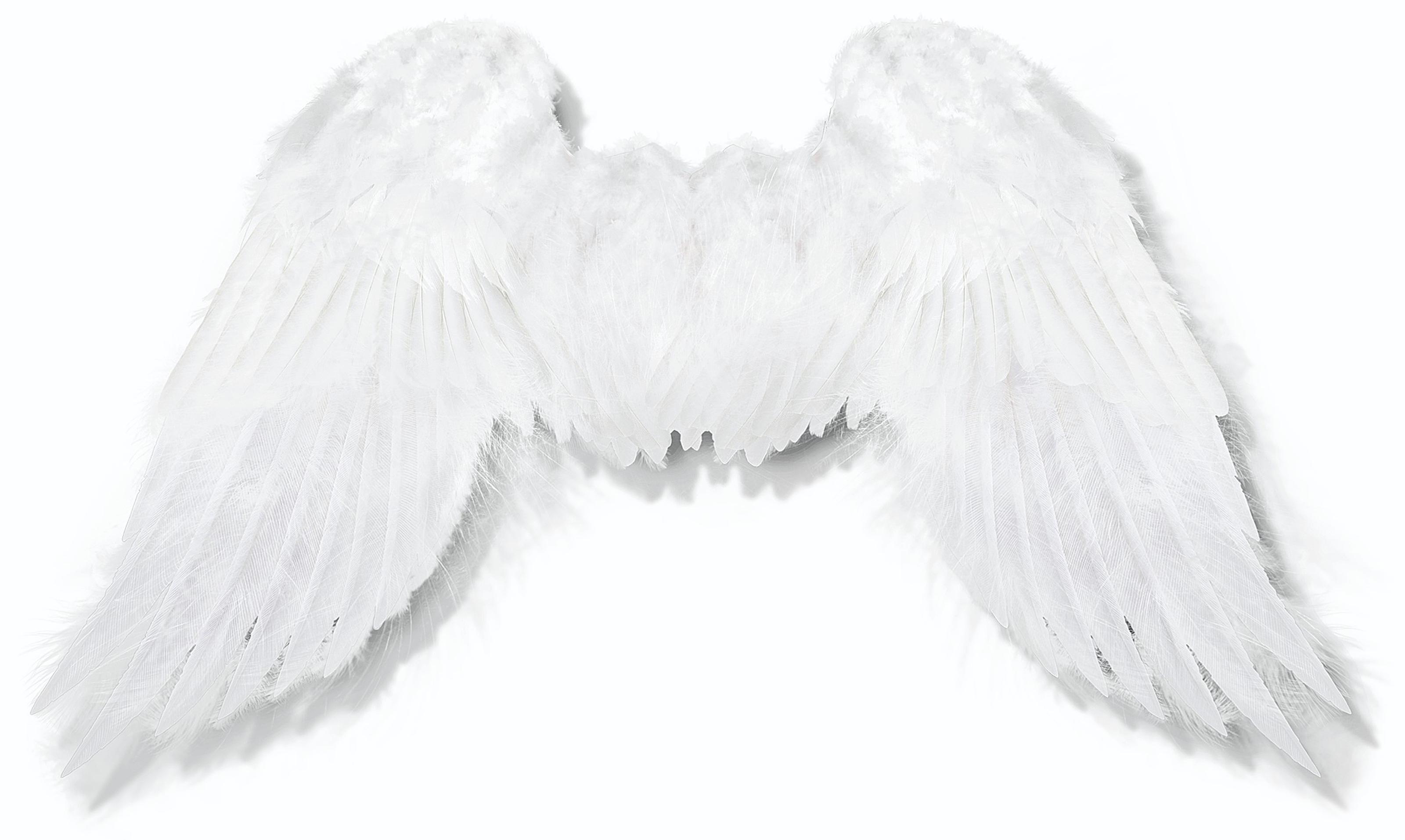 Meditate, Meredith Rose (B. 1981) | Christie’s