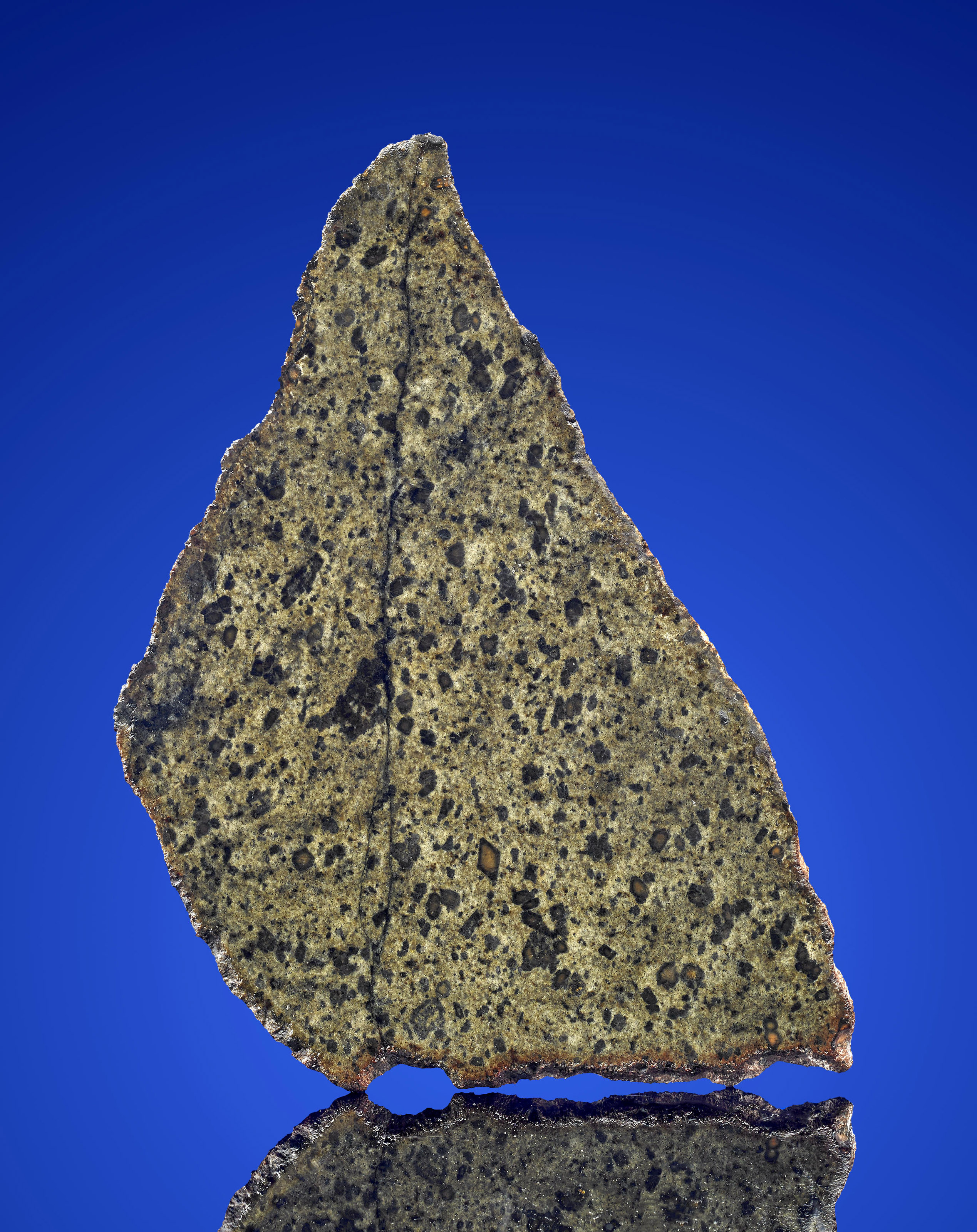 A COMPLETE SLICE OF THE MARTIAN METEORITE “JRIFIYA” (NWA 8716 ...