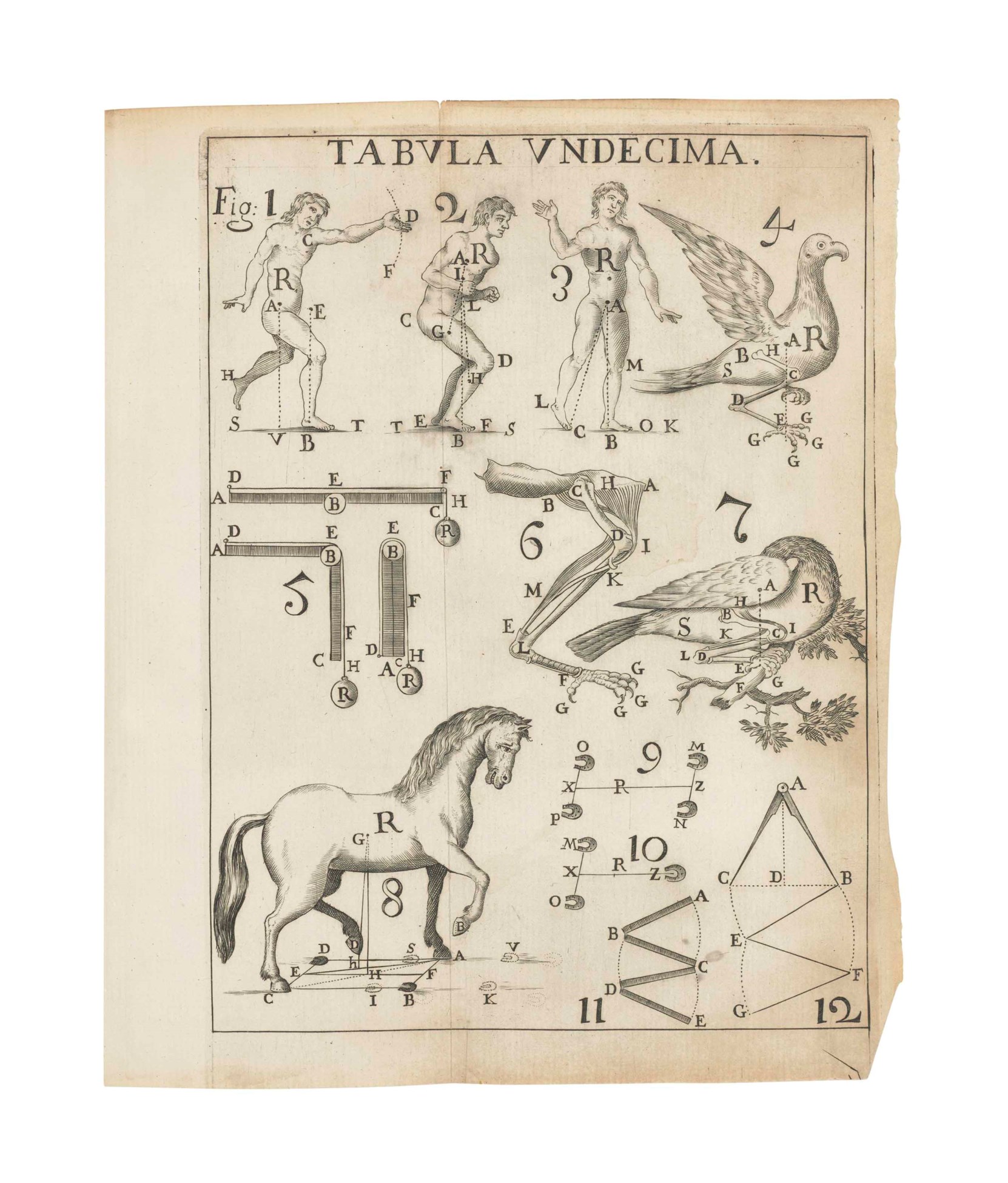 BORELLI, Giovanni Alfonso (1608-1679). De motu animalium. Rome: Angelo ...