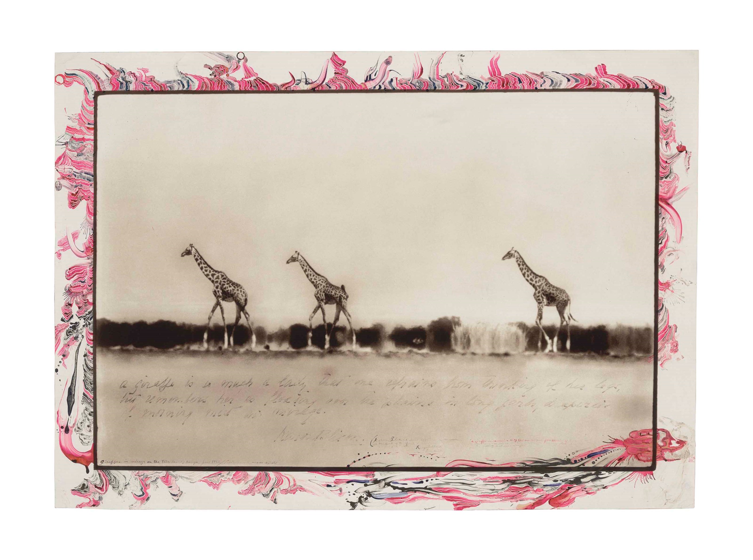 Peter Beard (b. 1938), Giraffes in Mirage on the Taru Dessert, Kenya ...