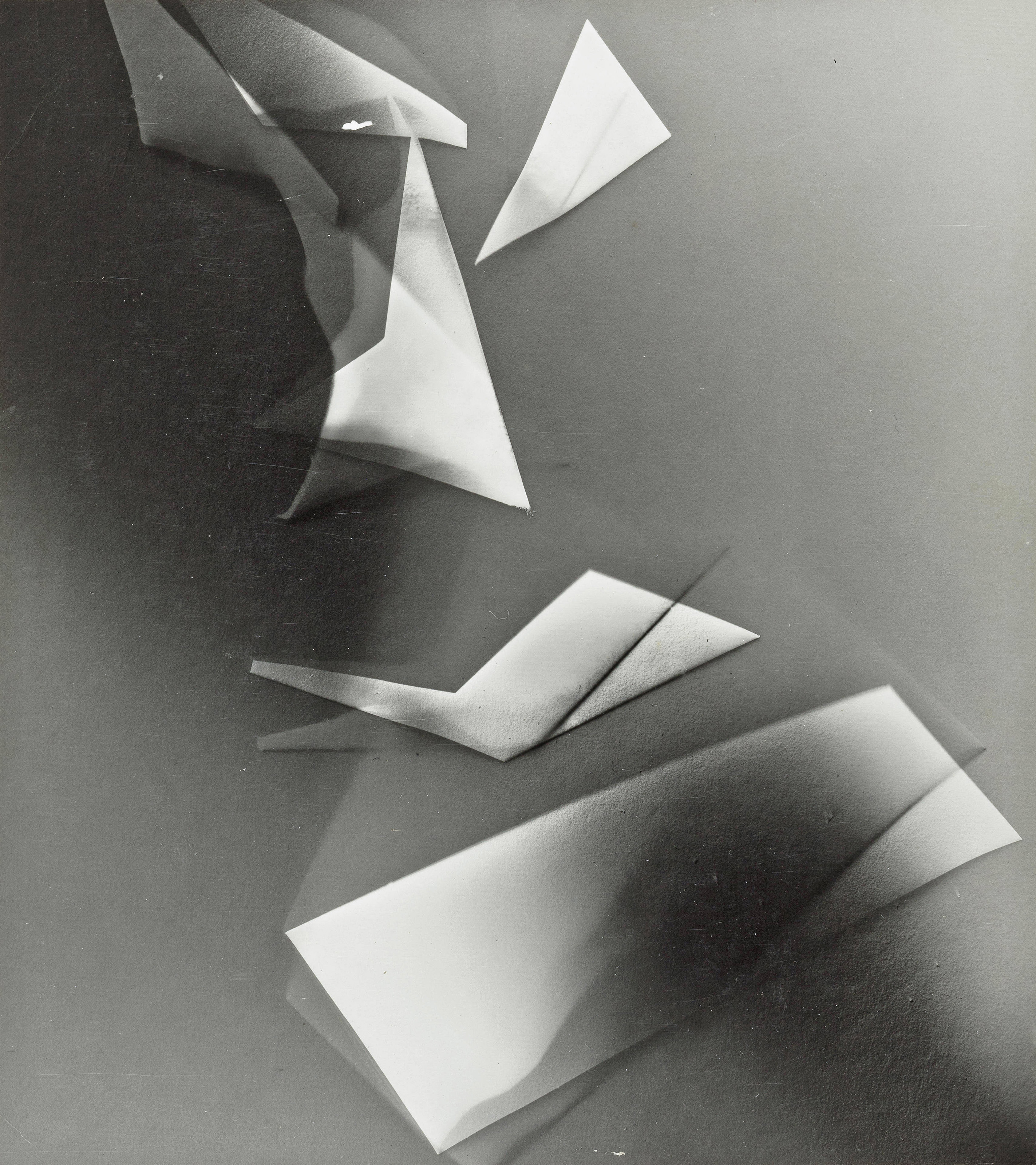 LOIS FIELD (B. 1923), Untitled (photogram), 1949 | Christie’s