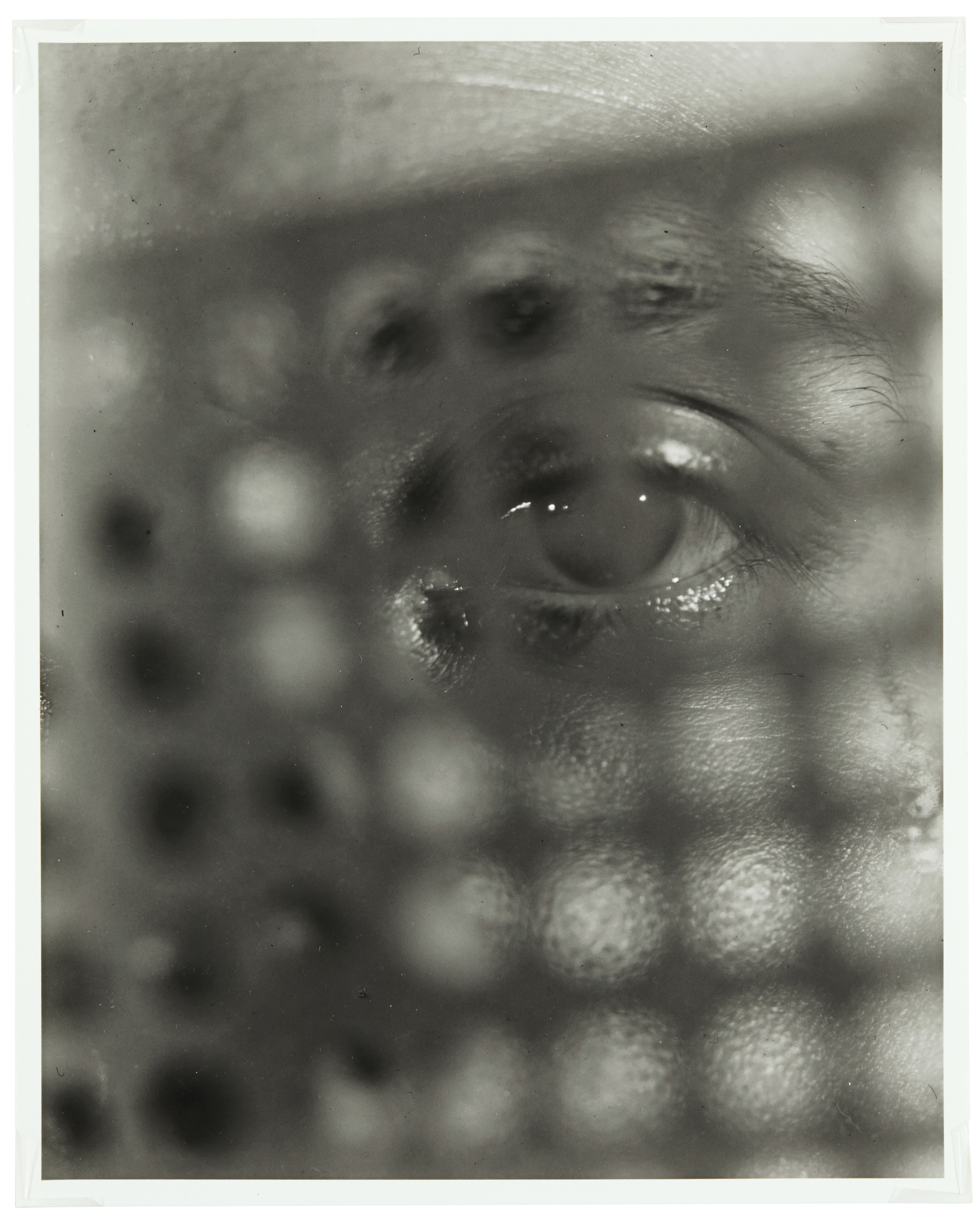 ALLAN PORTER (B. 1926), Gridded Eye, 1948 | Christie’s