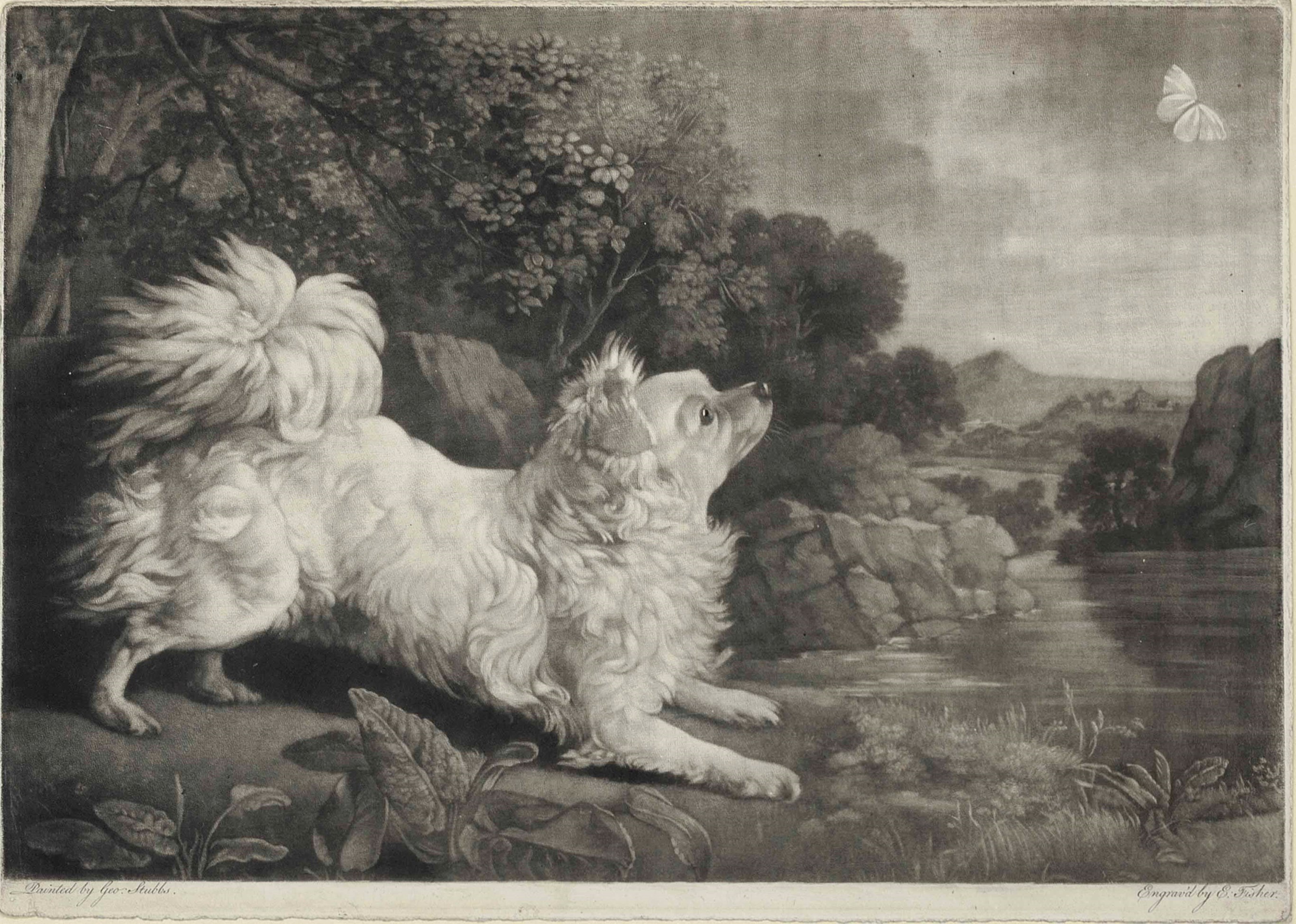 Edward Fisher (1730-1785), after George Stubbs, A.R.A., A French Fox ...