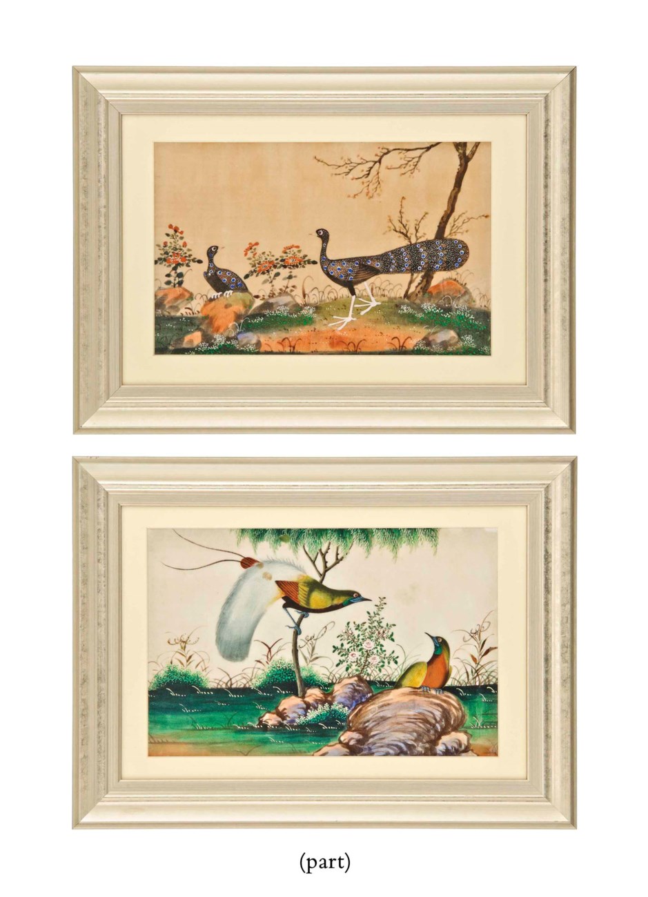 TWELVE CHINESE PITH PAPER PAINTINGS OF BIRDS, 19TH CENTURY | Christie's