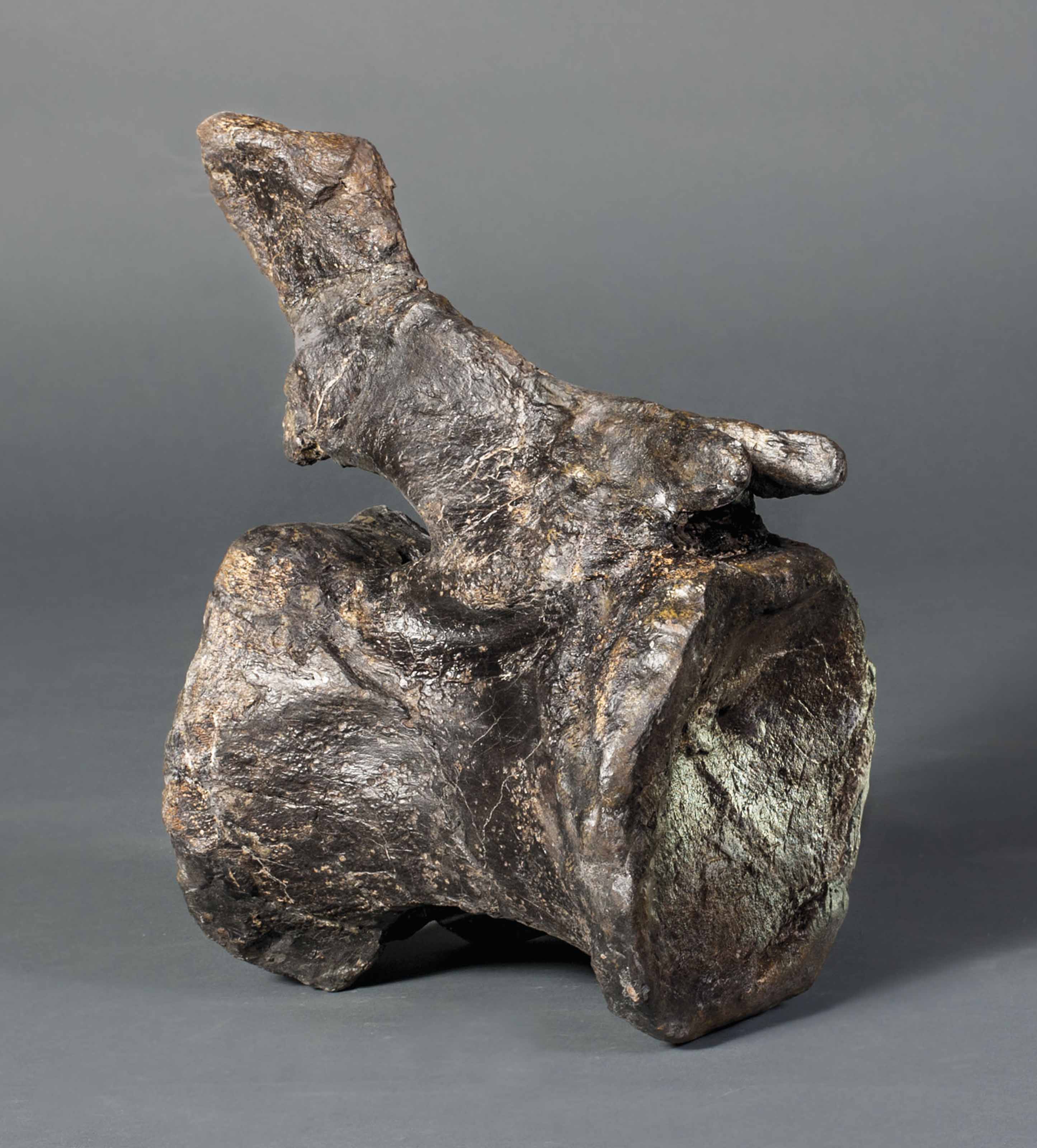 A JURASSIC DINOSAUR VERTEBRA