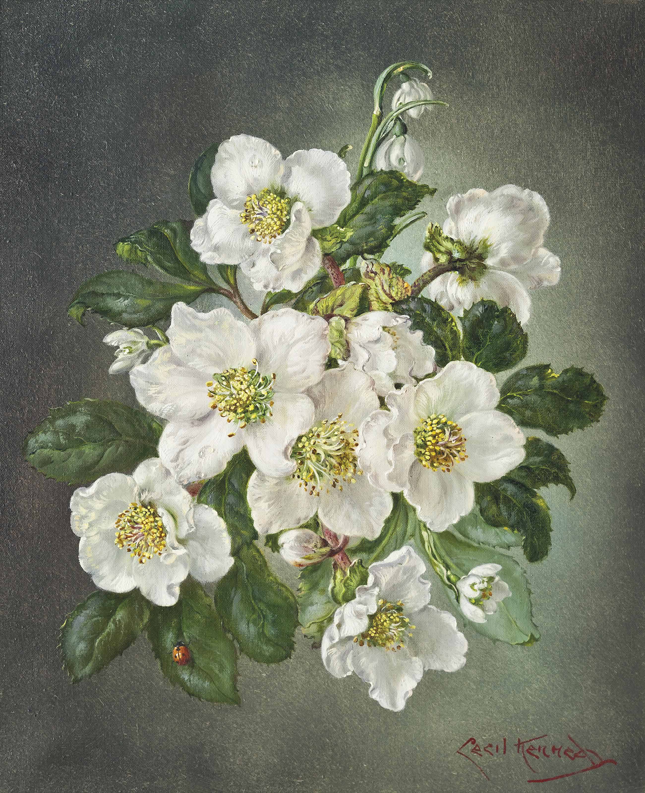 Cecil Kennedy (1905-1997), Summer flowers in a silver urn | Christie's