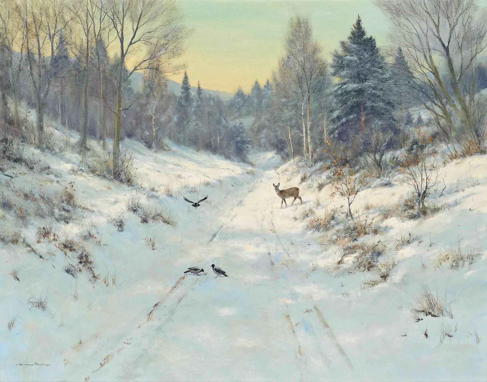 Colin W. Burns (b. 1944), Roe deer - Glen Moriston | Christie's
