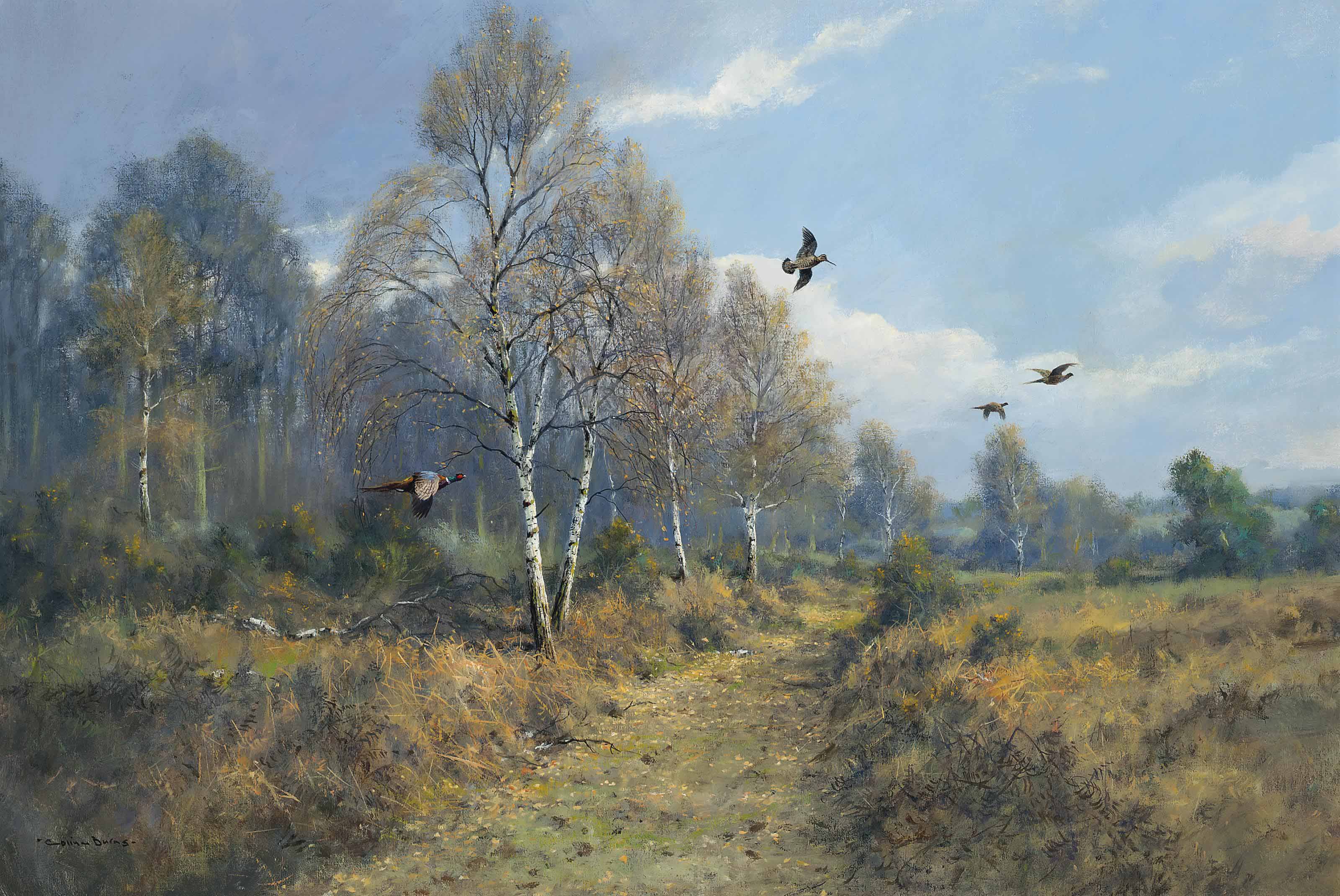 Colin W. Burns (b. 1944)