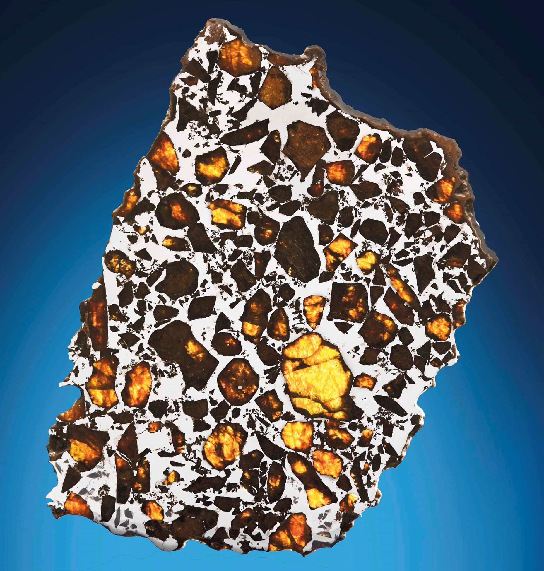 COMPLETE SLICE OF NWA 10023 — THE ONLY PLESSITIC PALLASITE, Pallasite ...
