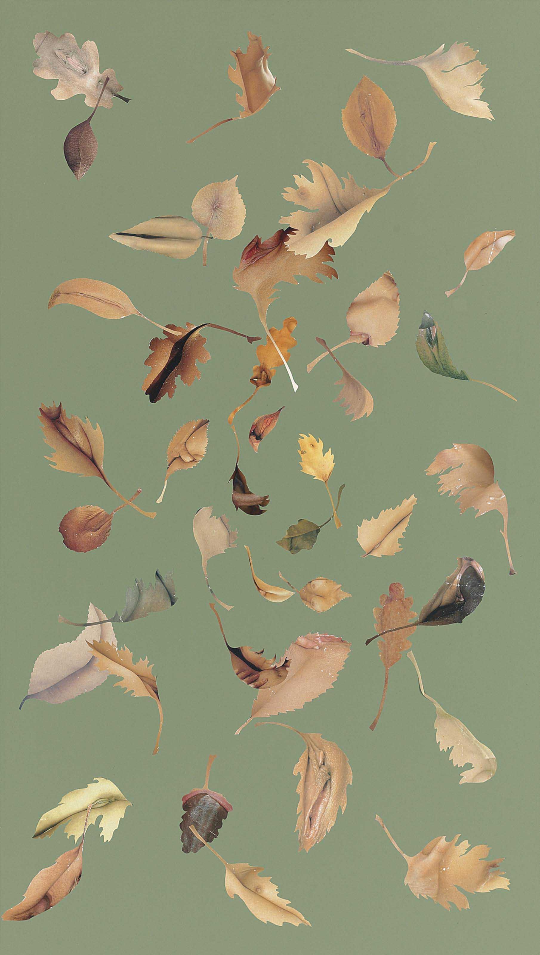 jonathan yeo wallpaper