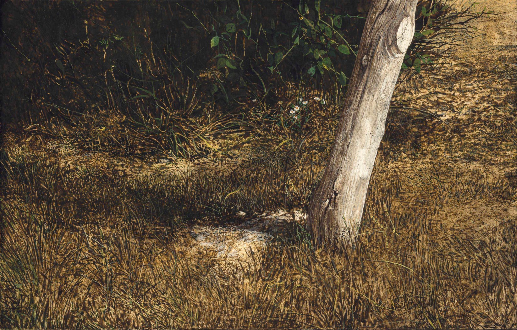 Carl Rice Embrey (American, b. 1938), Fince line | Christie's