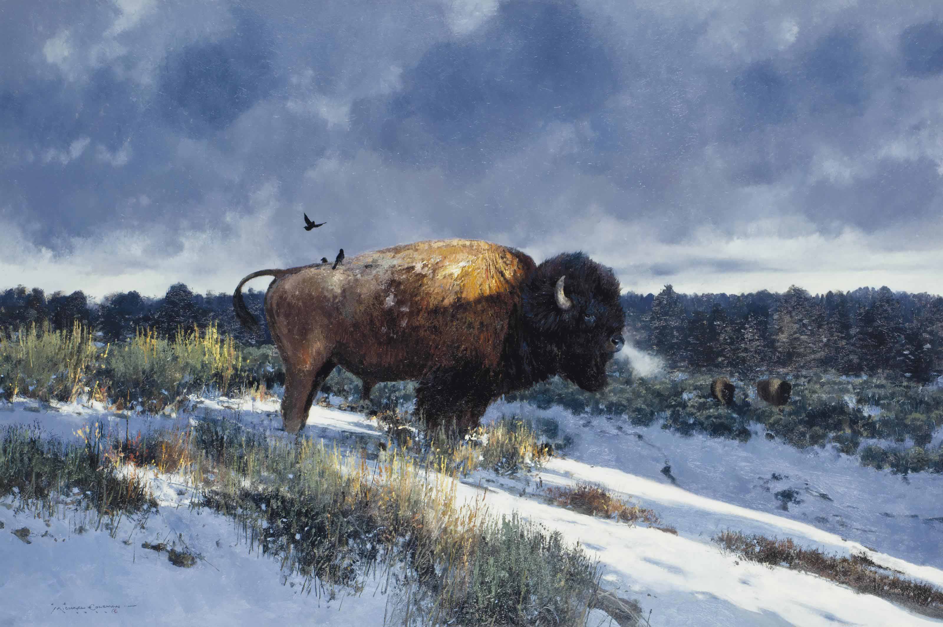 MICHAEL B. COLEMAN (B. 1946), Winter--North American Bison | Christie’s