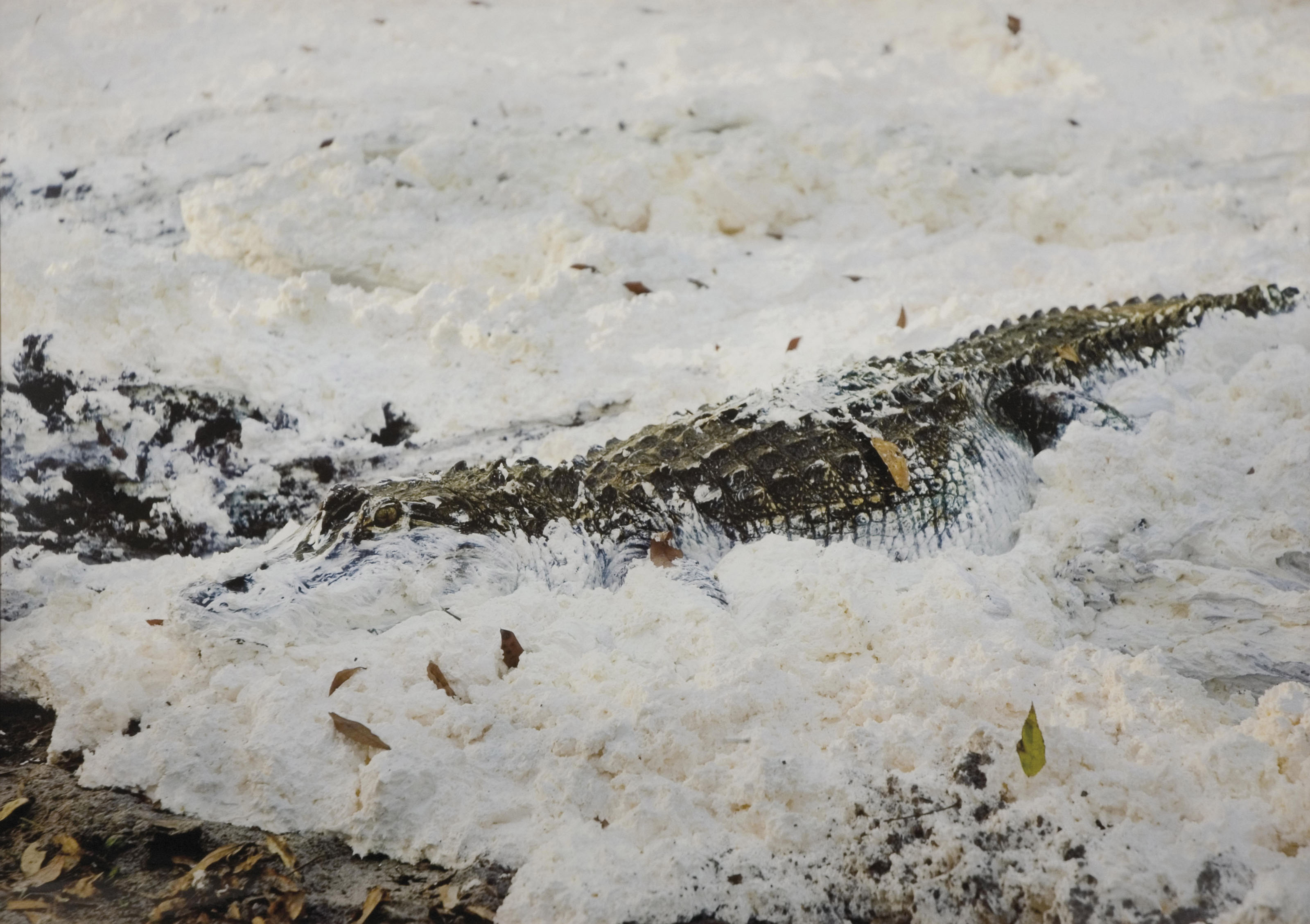 PAOLA PIVI (B. 1971), Fffffffffffffffffff three, 2006 | Christie’s