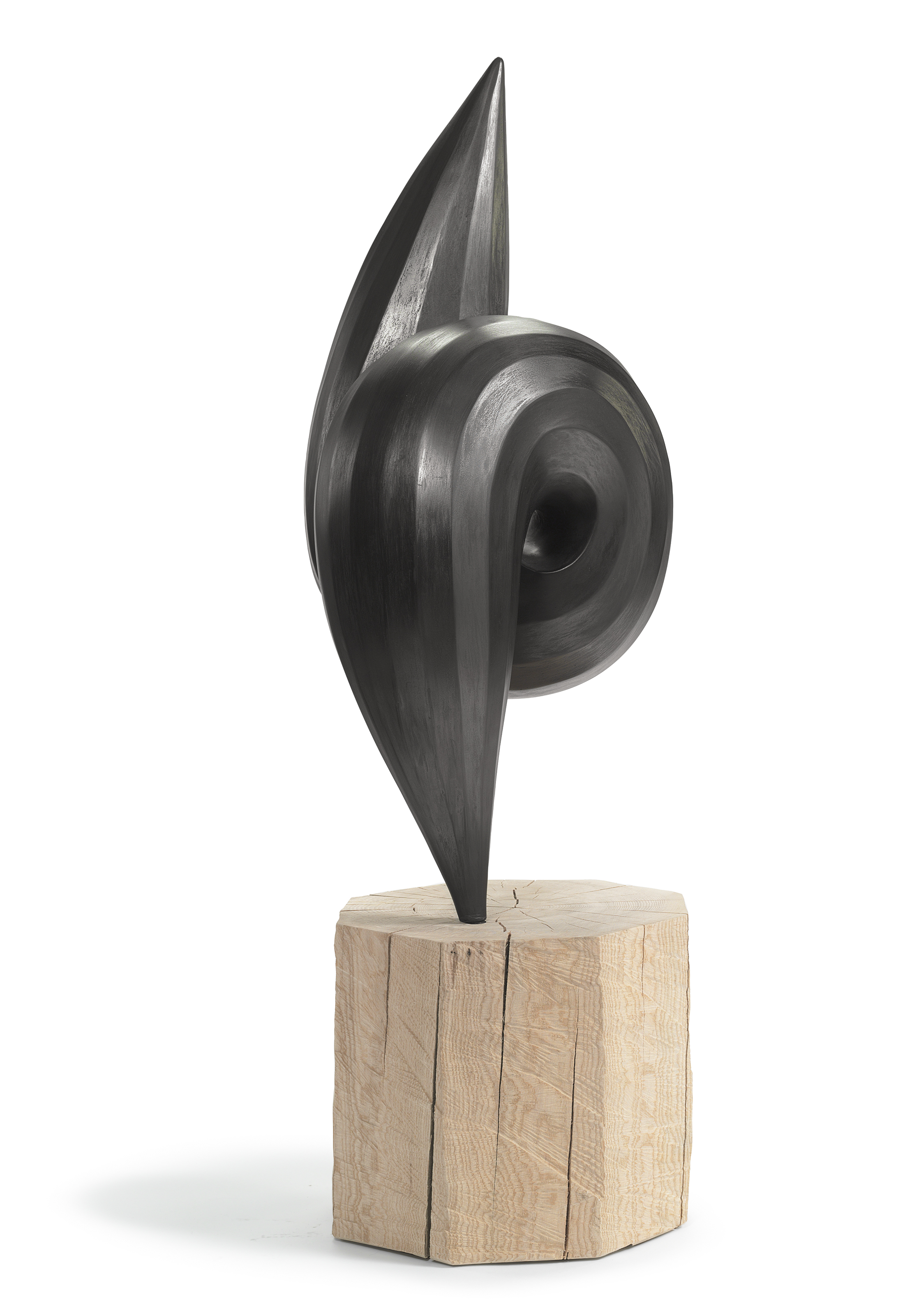 BRYAN HUNT (B. 1947), Black Venus | Christie’s