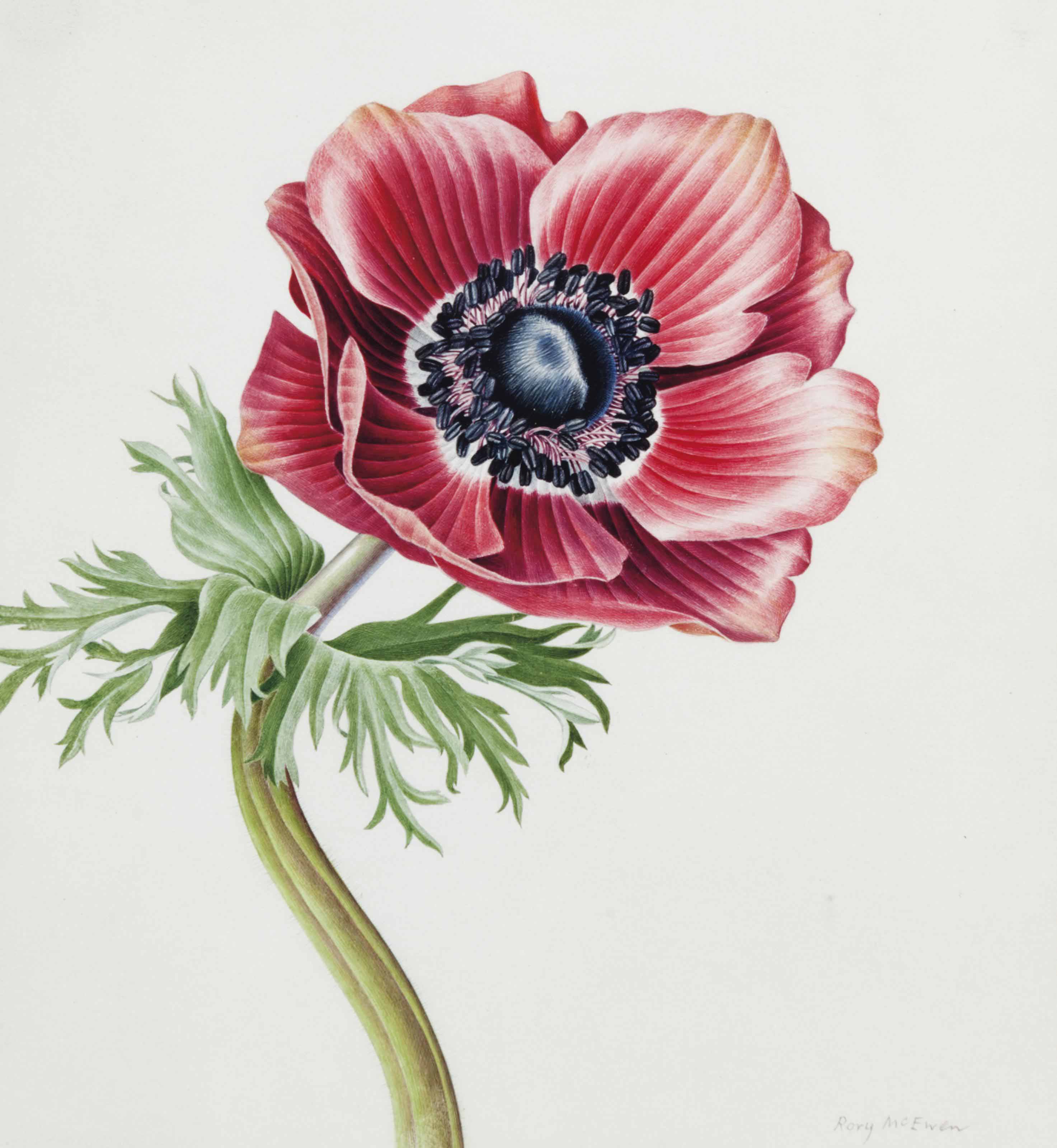 Rory McEwen: upcoming auctions, appraisal insights and free art price ...