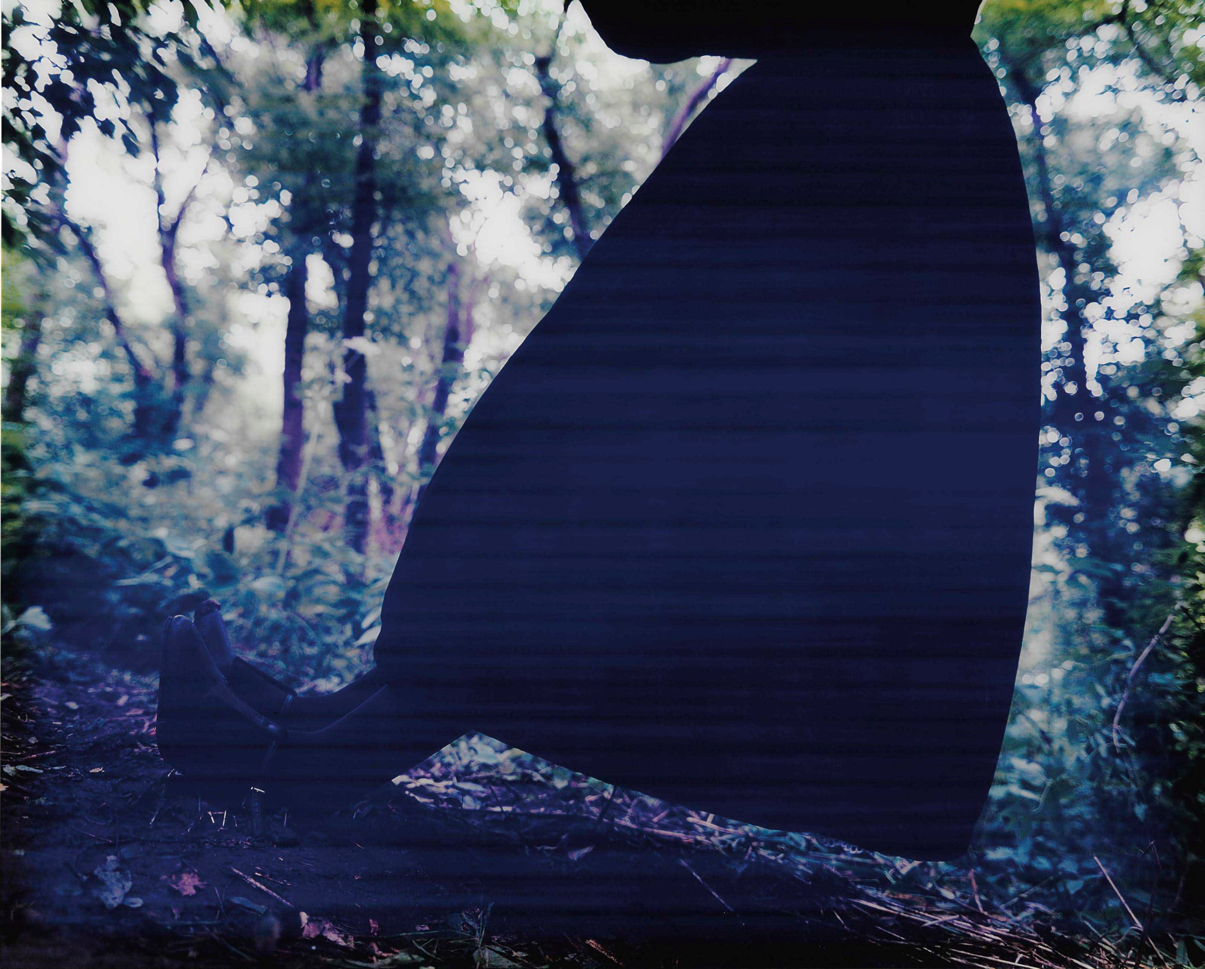 Anna Gaskell (b. 1969), Untitled #103 (A Short Story of Happenstance ...